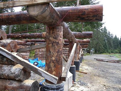 How to Build a Log Shelter : 11 Steps (with Pictures) - Instructables