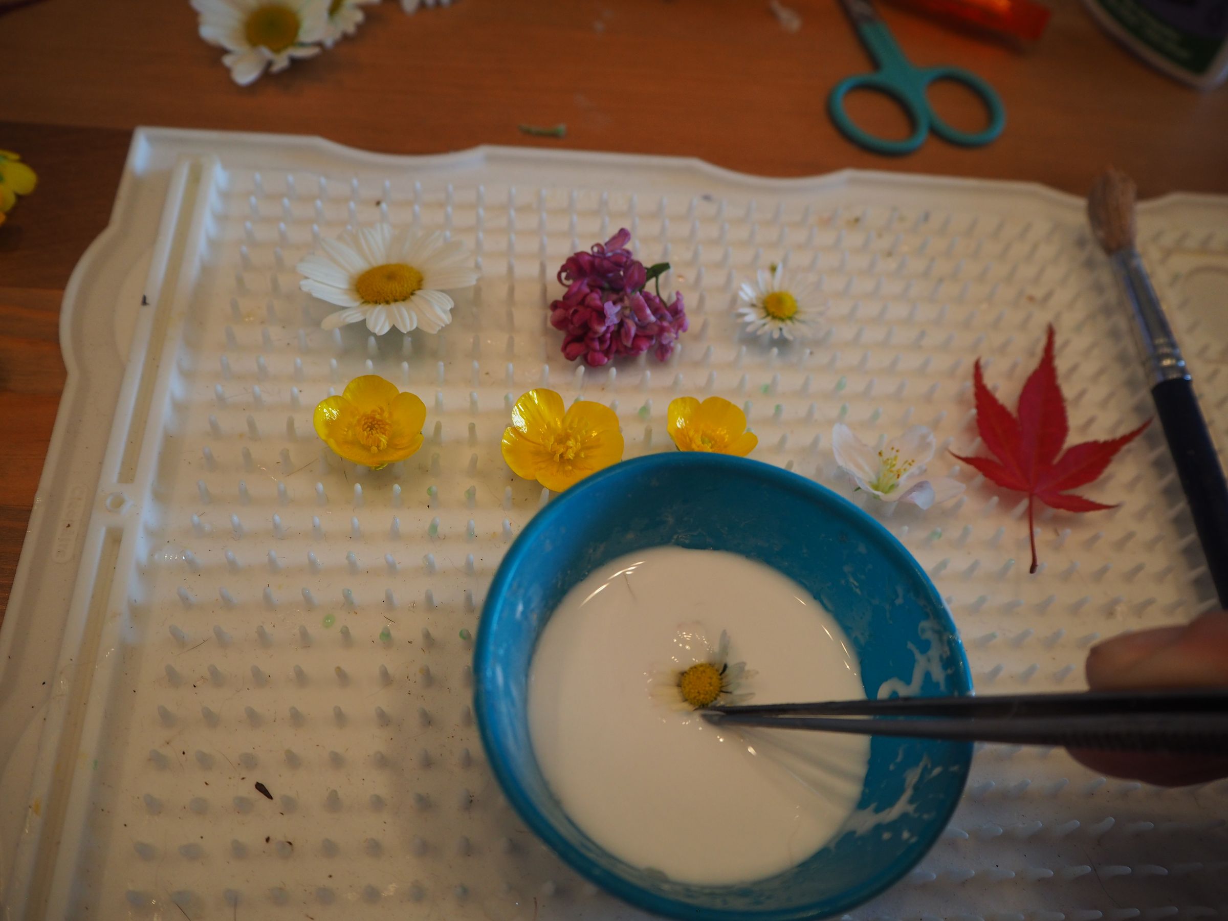Techniques to Embed Flowers in Resin : 12 Steps (with Pictures ...