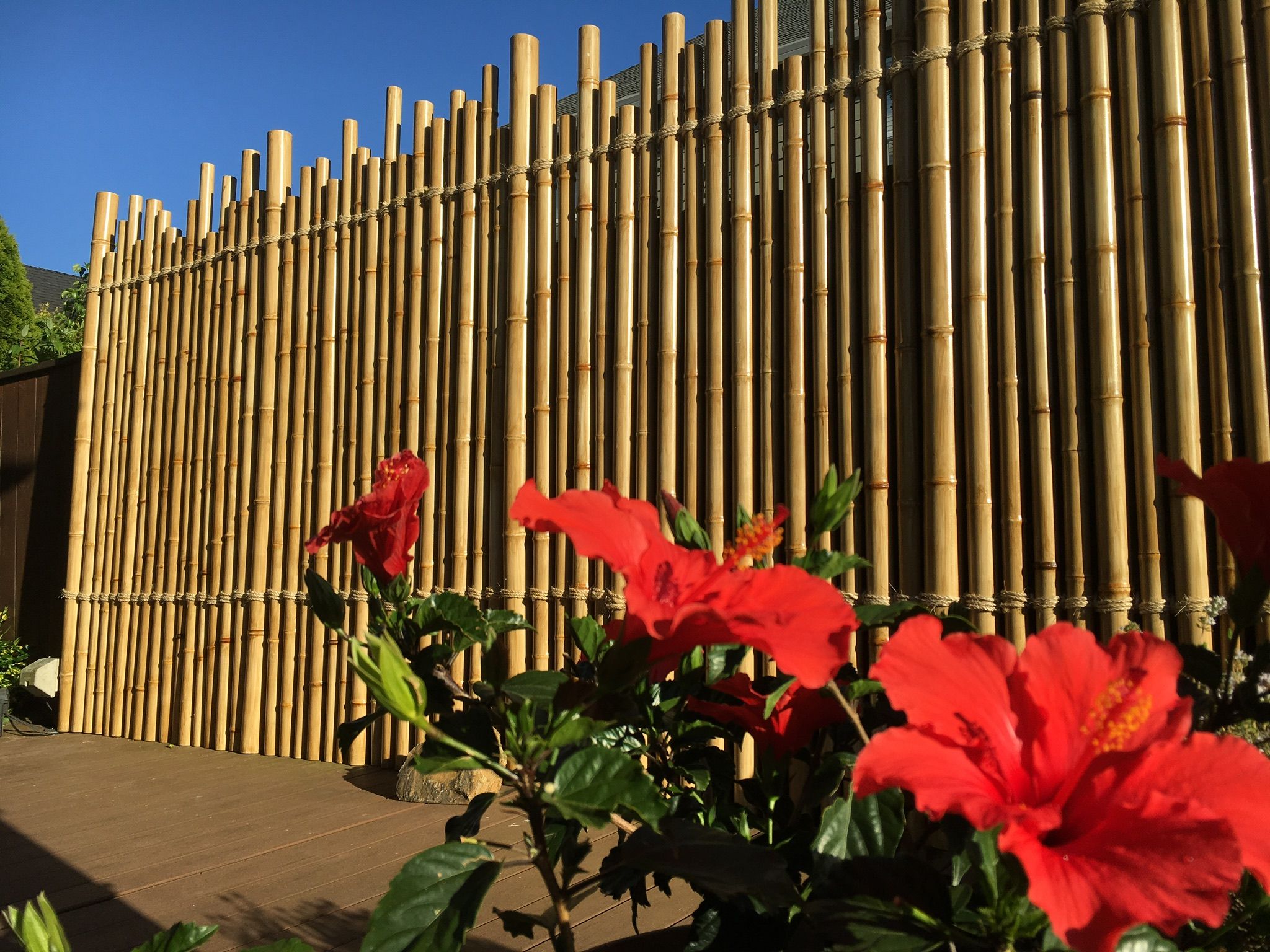 PVC Faux Bamboo Privacy Wall With LEDs : 8 Steps (with Pictures ...
