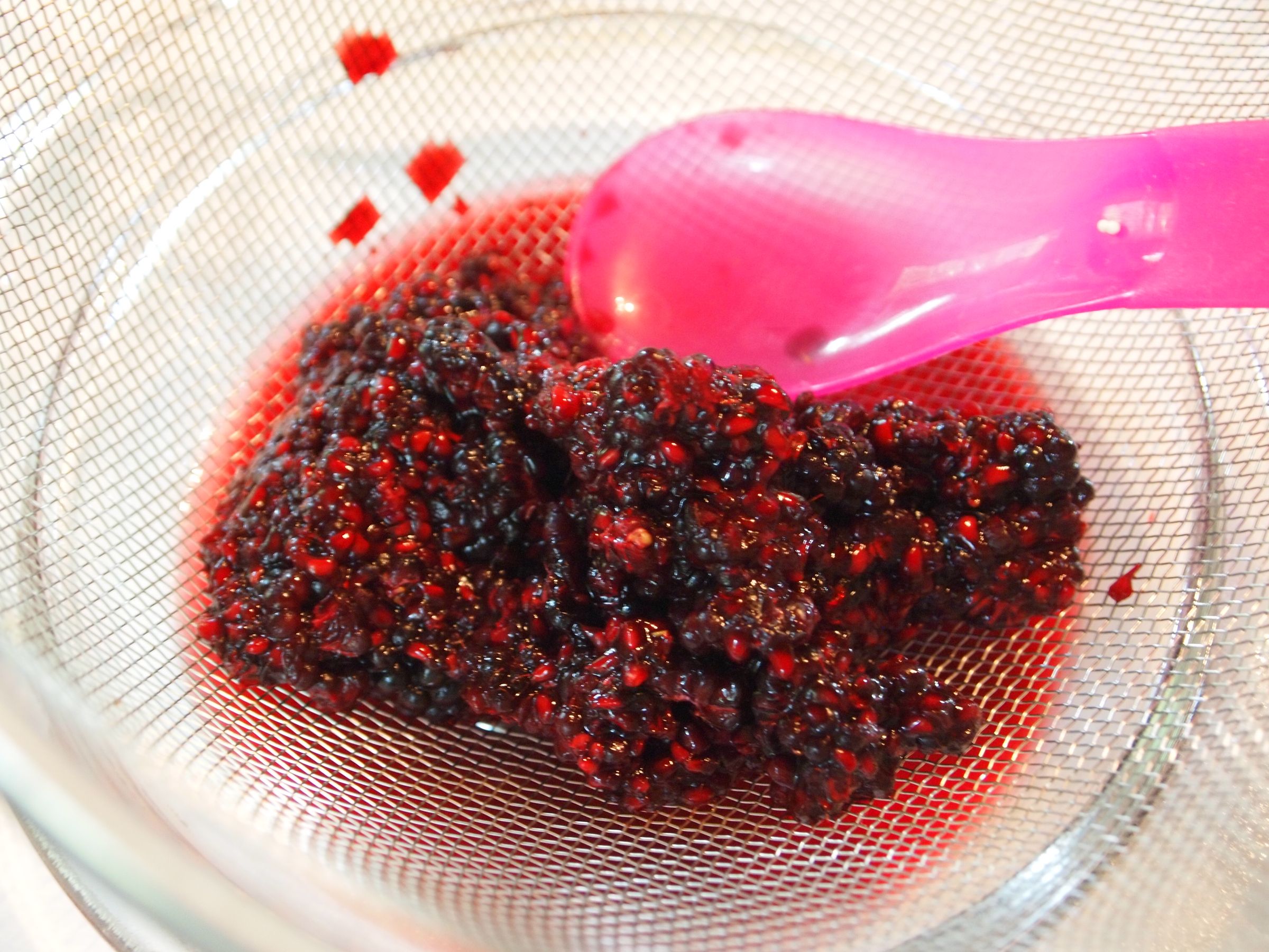 Paint Made From Berries & Nature : 4 Steps (with Pictures) - Instructables