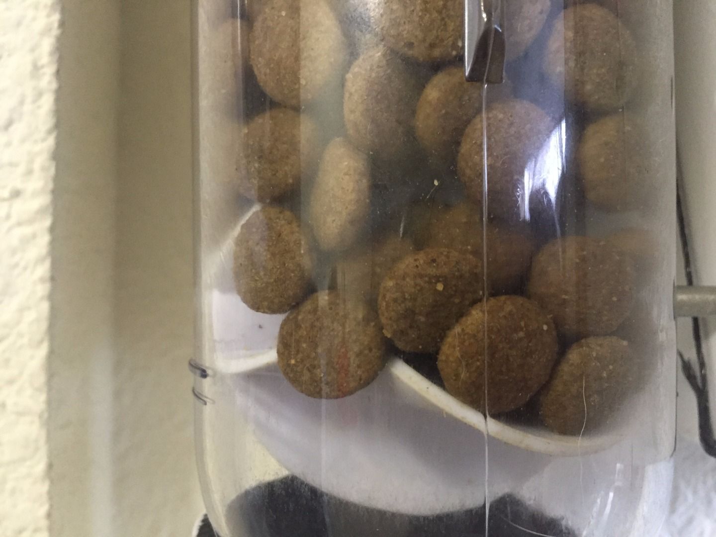 Internet Enabled Raspberry Pi Pet Feeder : 9 Steps (with Pictures) - Instructables