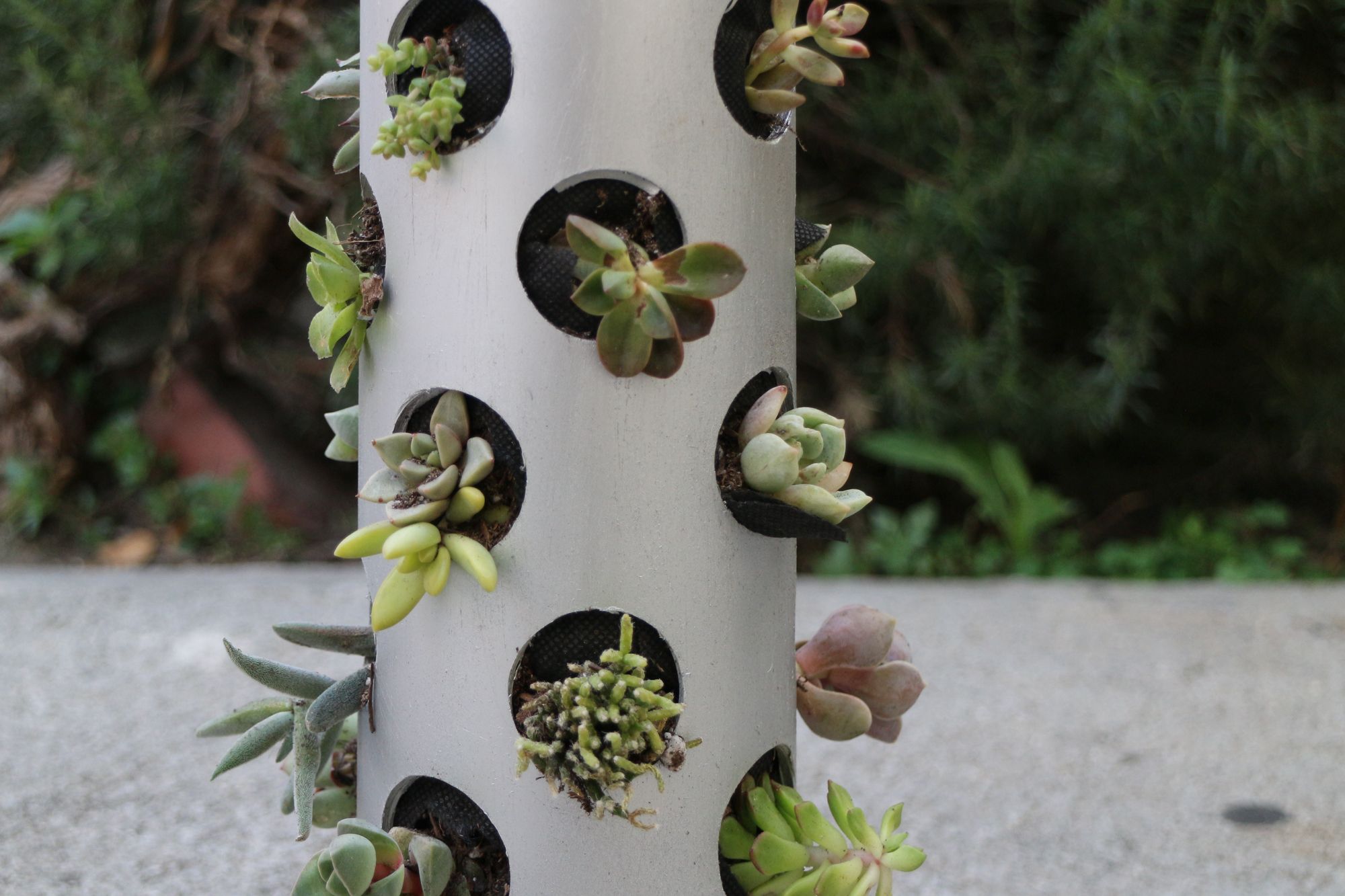 Vertical Gardening Pipe : 11 Steps (with Pictures) - Instructables
