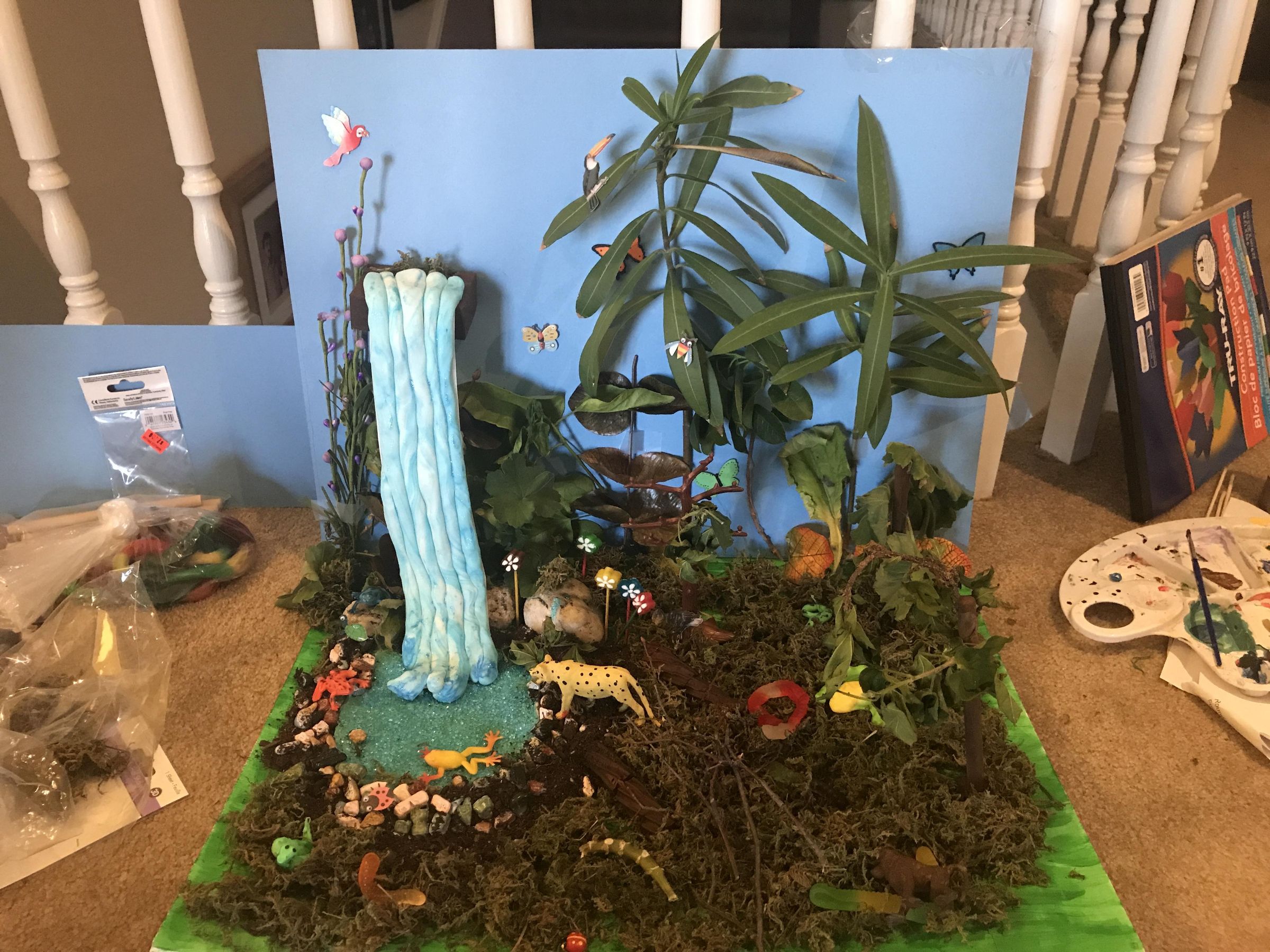Tropical Rainforest Ecosystem Diorama : 13 Steps (with Pictures ...