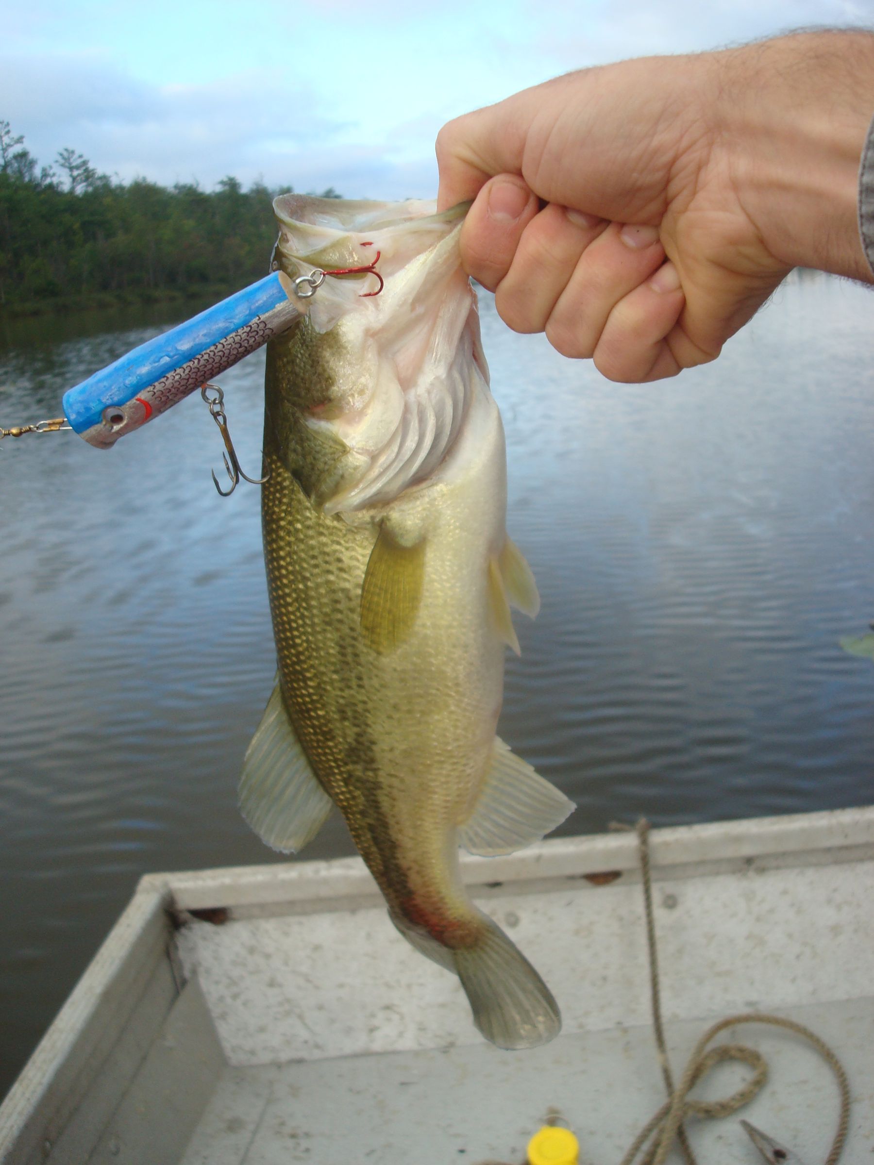 Make Your Own Fishing Lures : 10 Steps (with Pictures) - Instructables