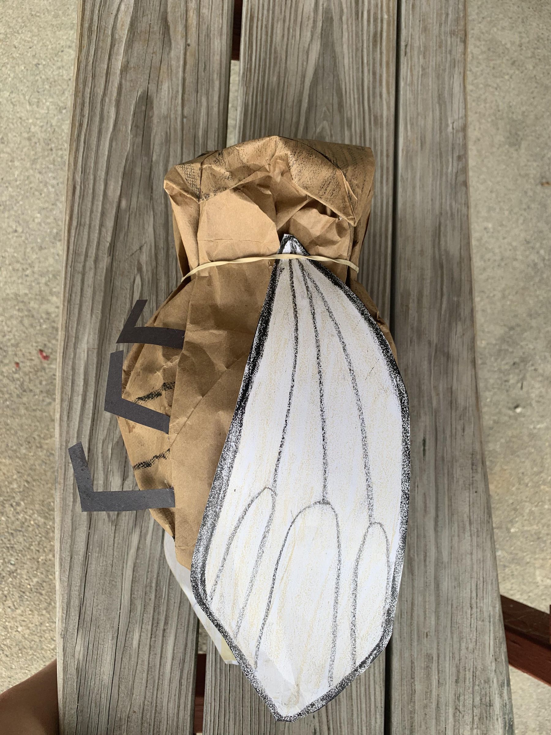 Giant Cicada Sculpture Using a Paper Lunch Bag : 7 Steps (with Pictures ...