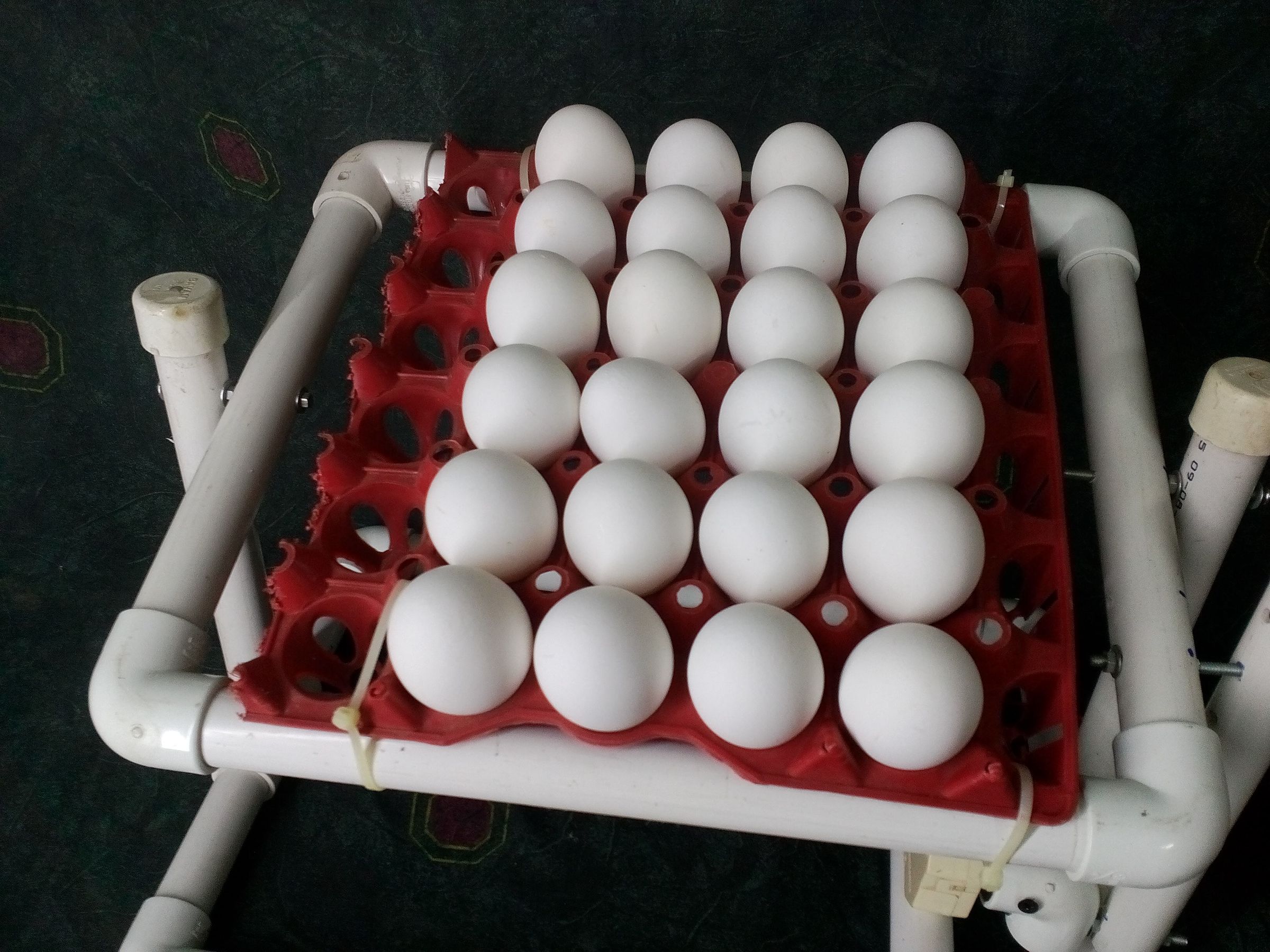 How to Make Automatic Rotating Egg Tray From PVC : 7 Steps (with ...