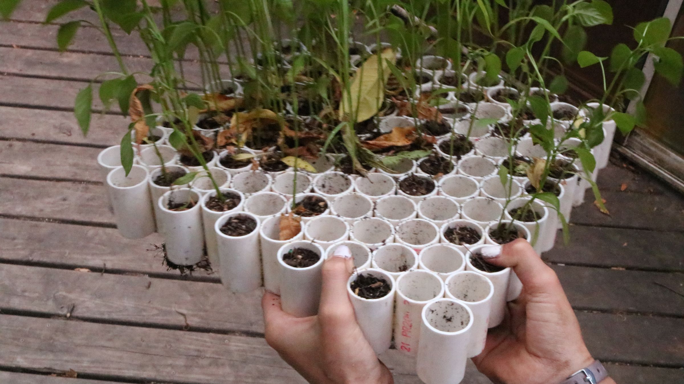 Honeycomb PVC Planters : 8 Steps (with Pictures) - Instructables