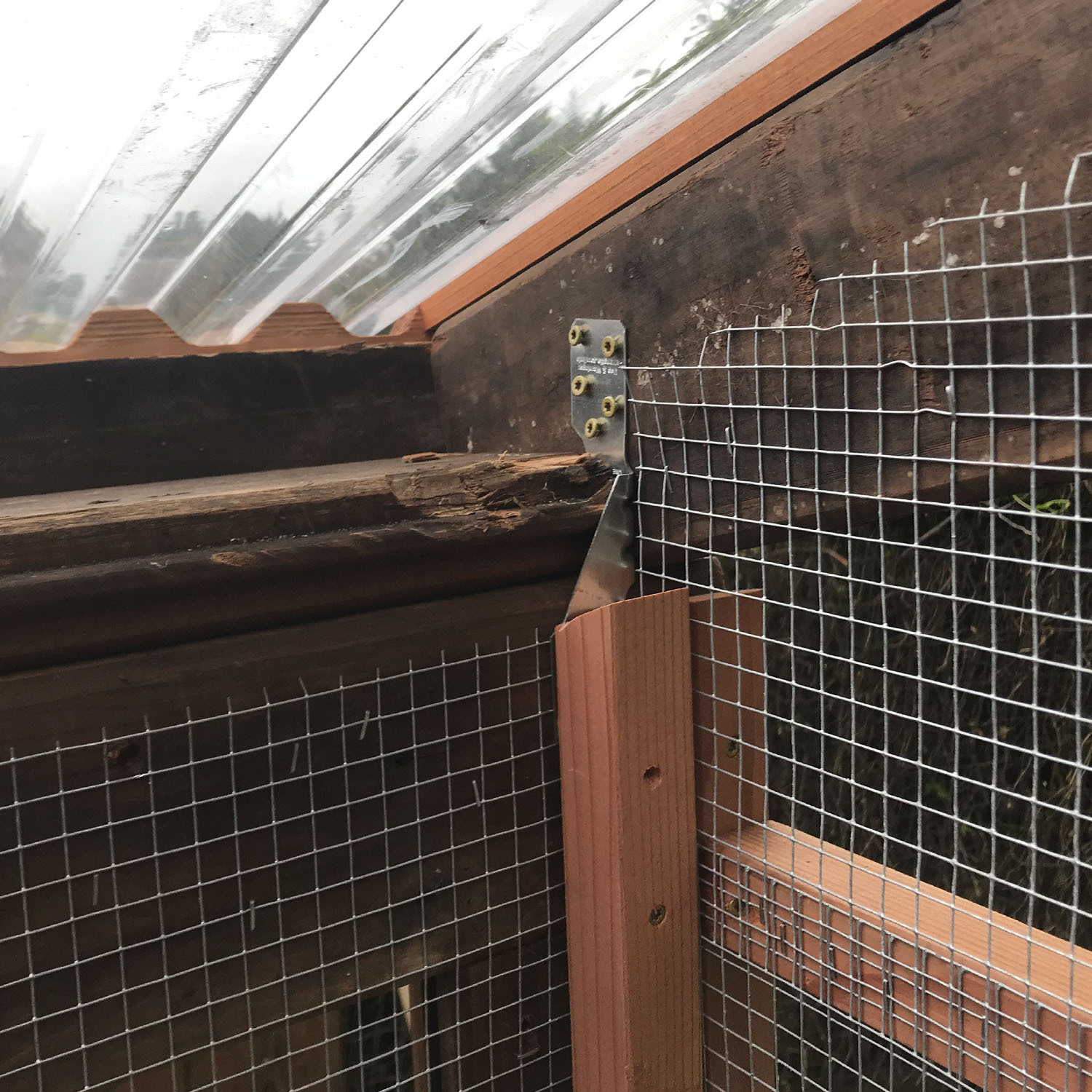 Hen Saloon : 16 Steps (with Pictures) - Instructables