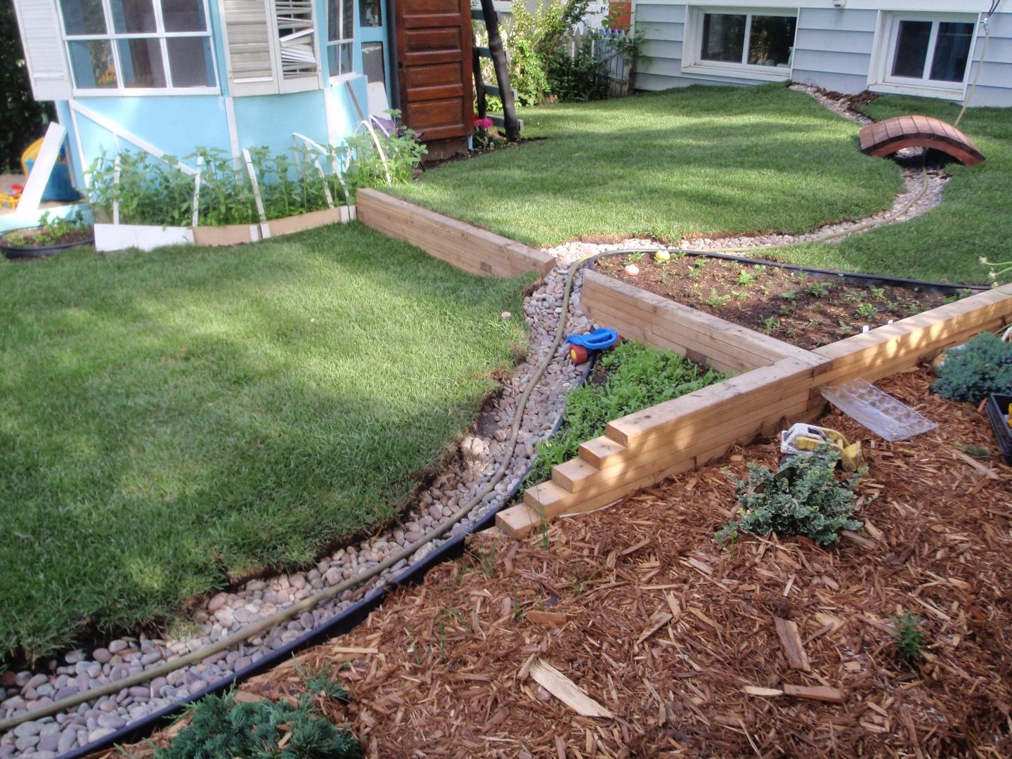 Restore a Backyard With Dead Soil (Before and After) : 9 Steps (with ...