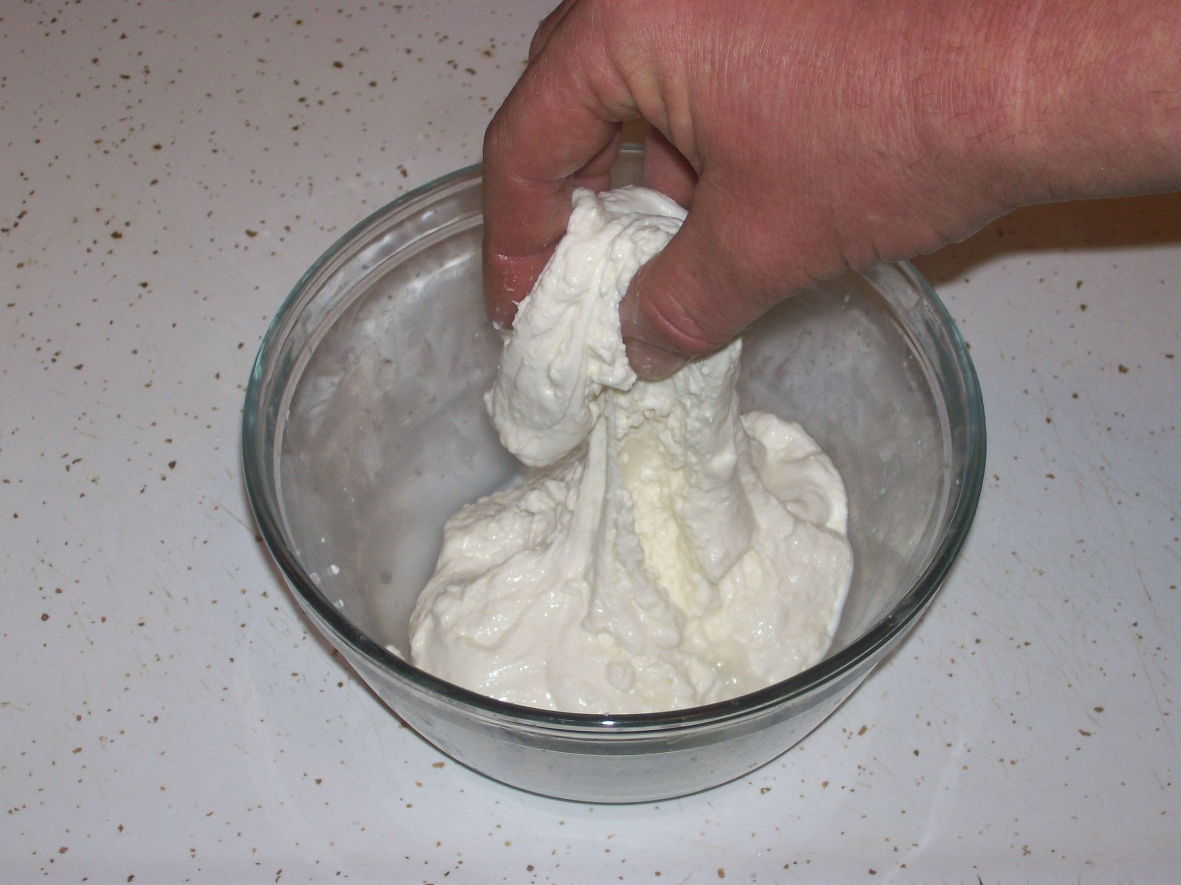 How to Make Great Fresh Mozzarella Cheese : 19 Steps (with Pictures ...