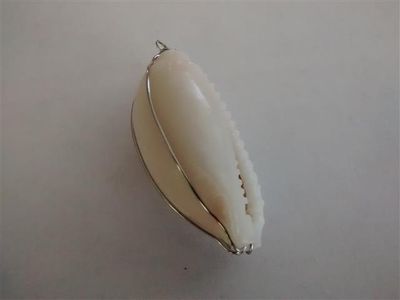 Simple Wire-Wrapped Sea-Shell Pendant : 4 Steps - Instructables