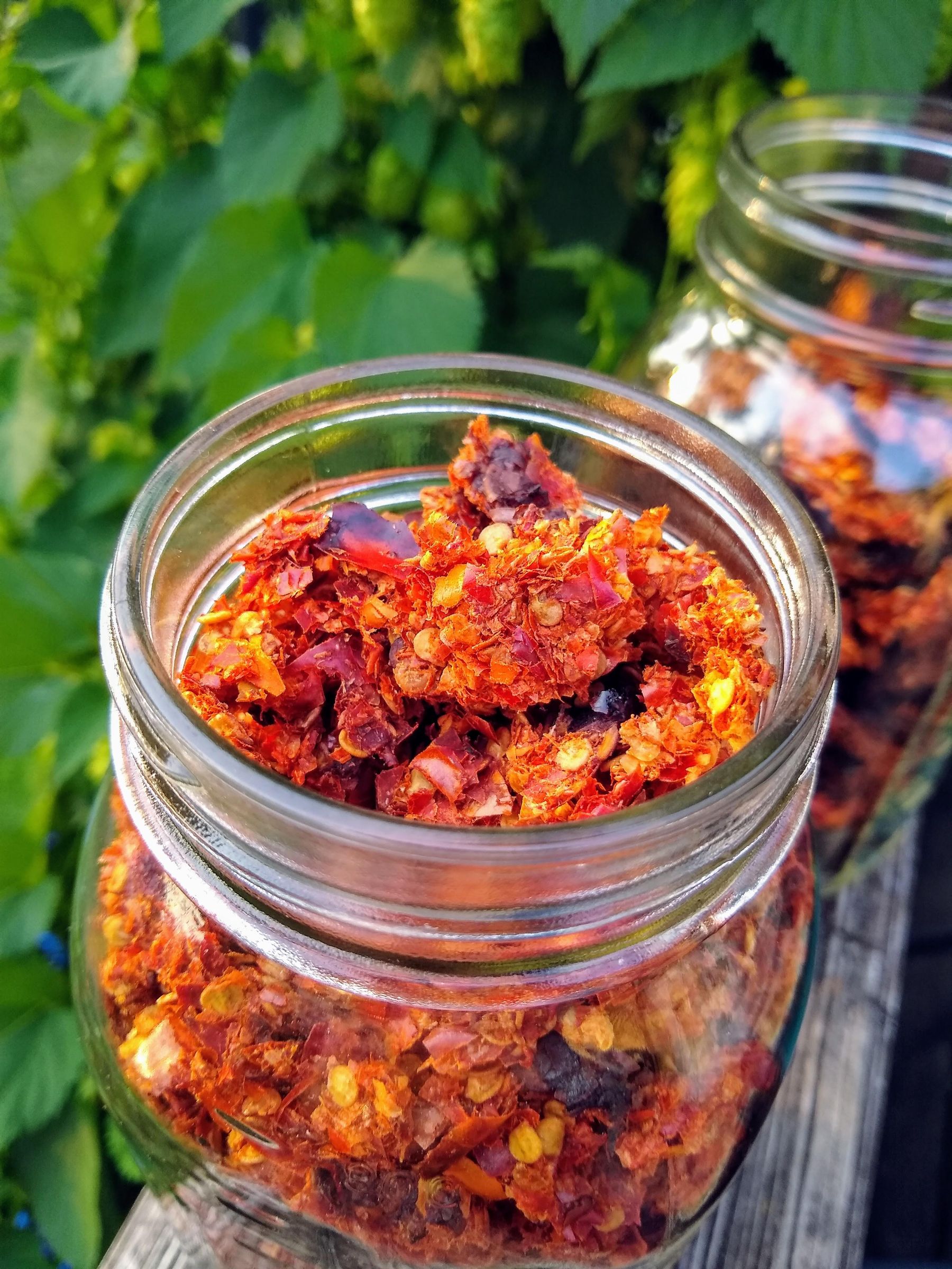 Miracle Powder: Peppers, Garlic, Salt, Acid, Smoke : 6 Steps (with ...