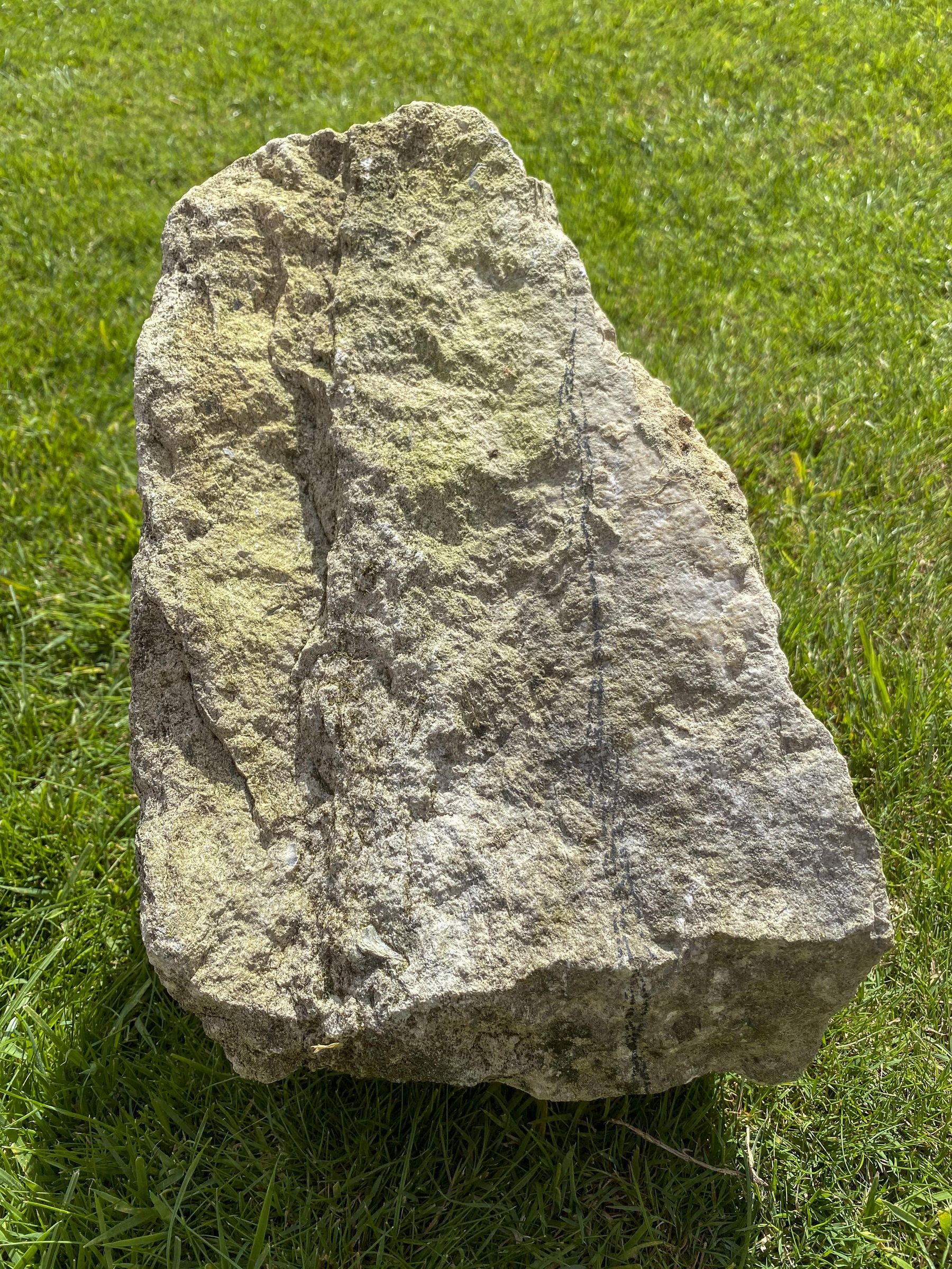 Beautiful Natural Bird Bath : 3 Steps (with Pictures) - Instructables