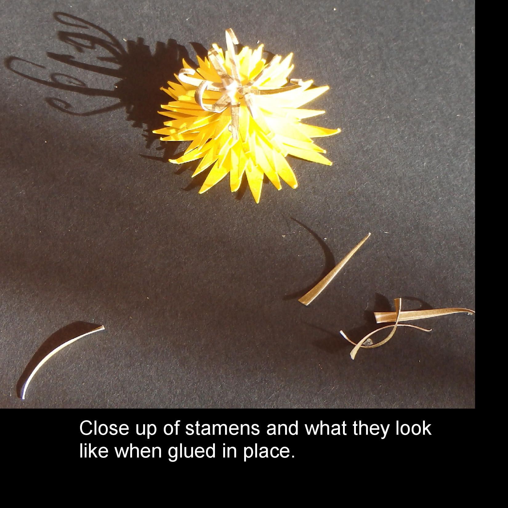 How to Make Paper Dandelions : 6 Steps (with Pictures) - Instructables