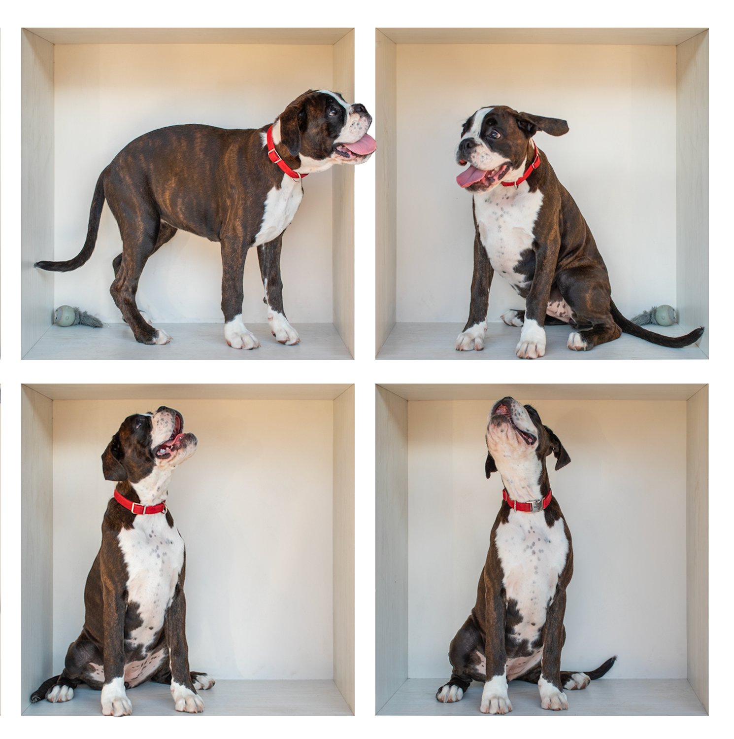 In the Box Photography : 10 Steps (with Pictures) - Instructables