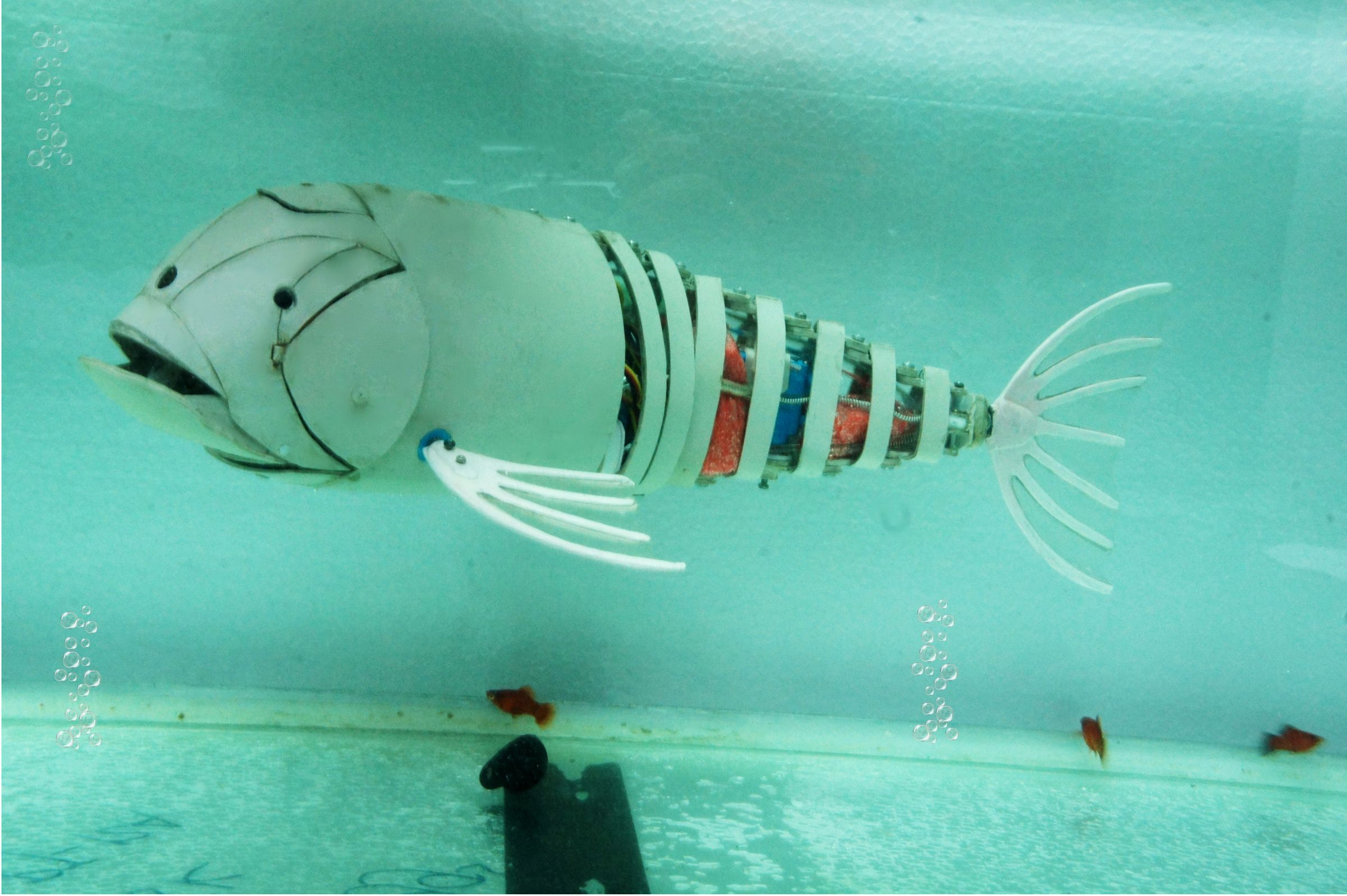 RoboFish Made From Pvc Water Pipe : 10 Steps (with Pictures ...