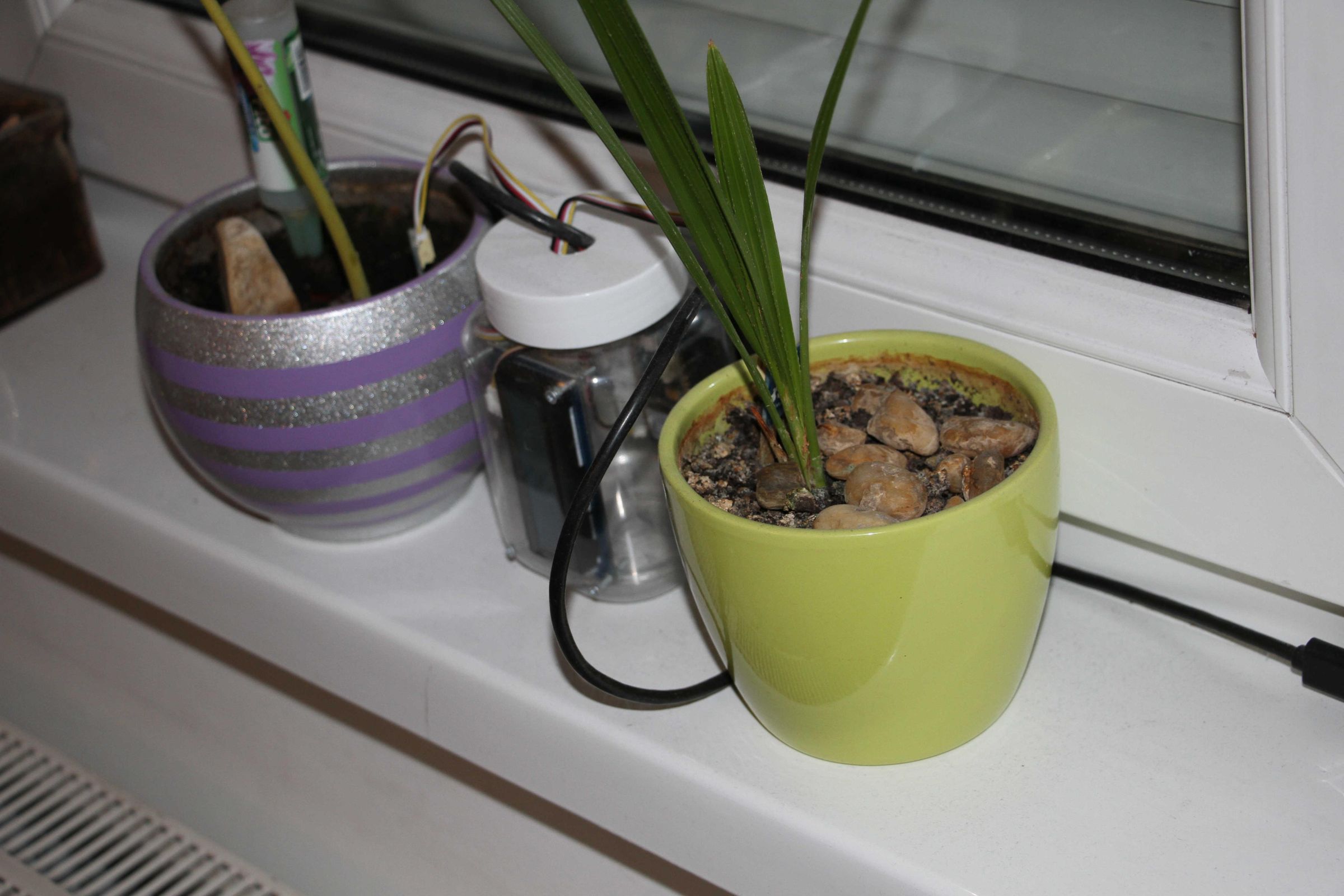 Plant Monitoring : 5 Steps - Instructables