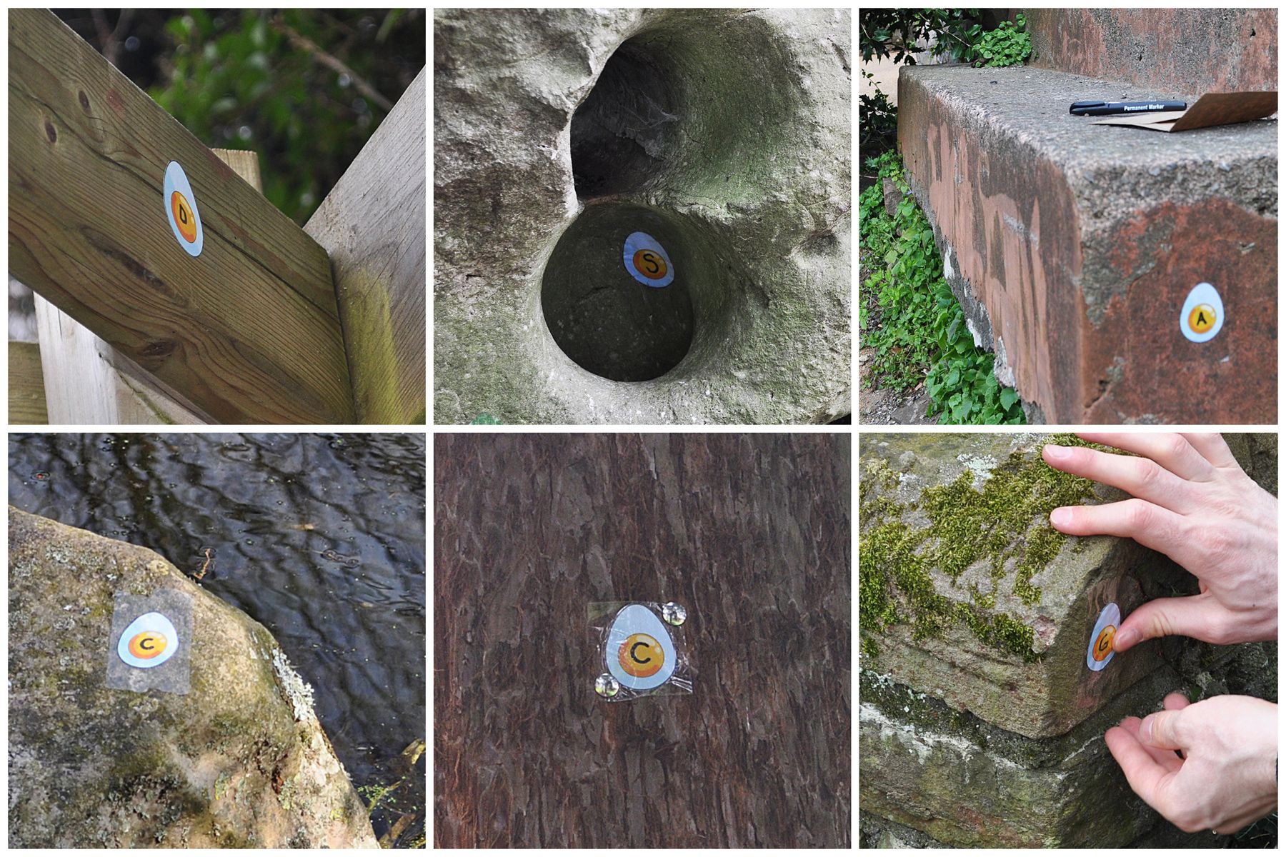 How to Create a Cryptic Egg Hunt for Grown-up Treasure Hunting Fun : 8 ...