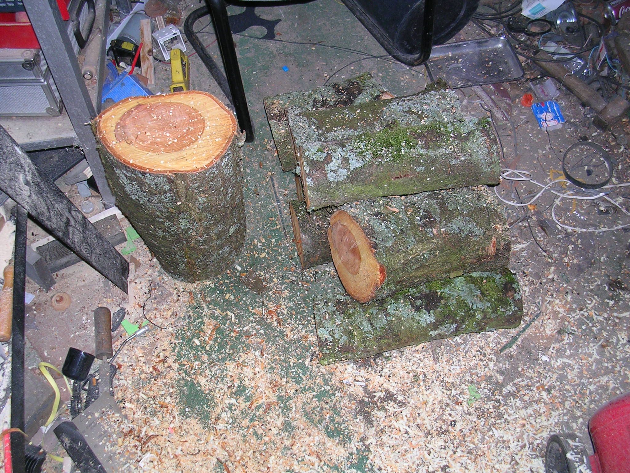 Seasoning Your Own Wood Turning Blanks From Fallen Tree Limbs ...