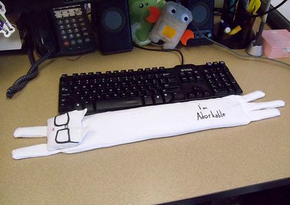 Keyboard Cat : 10 Steps (with Pictures) - Instructables