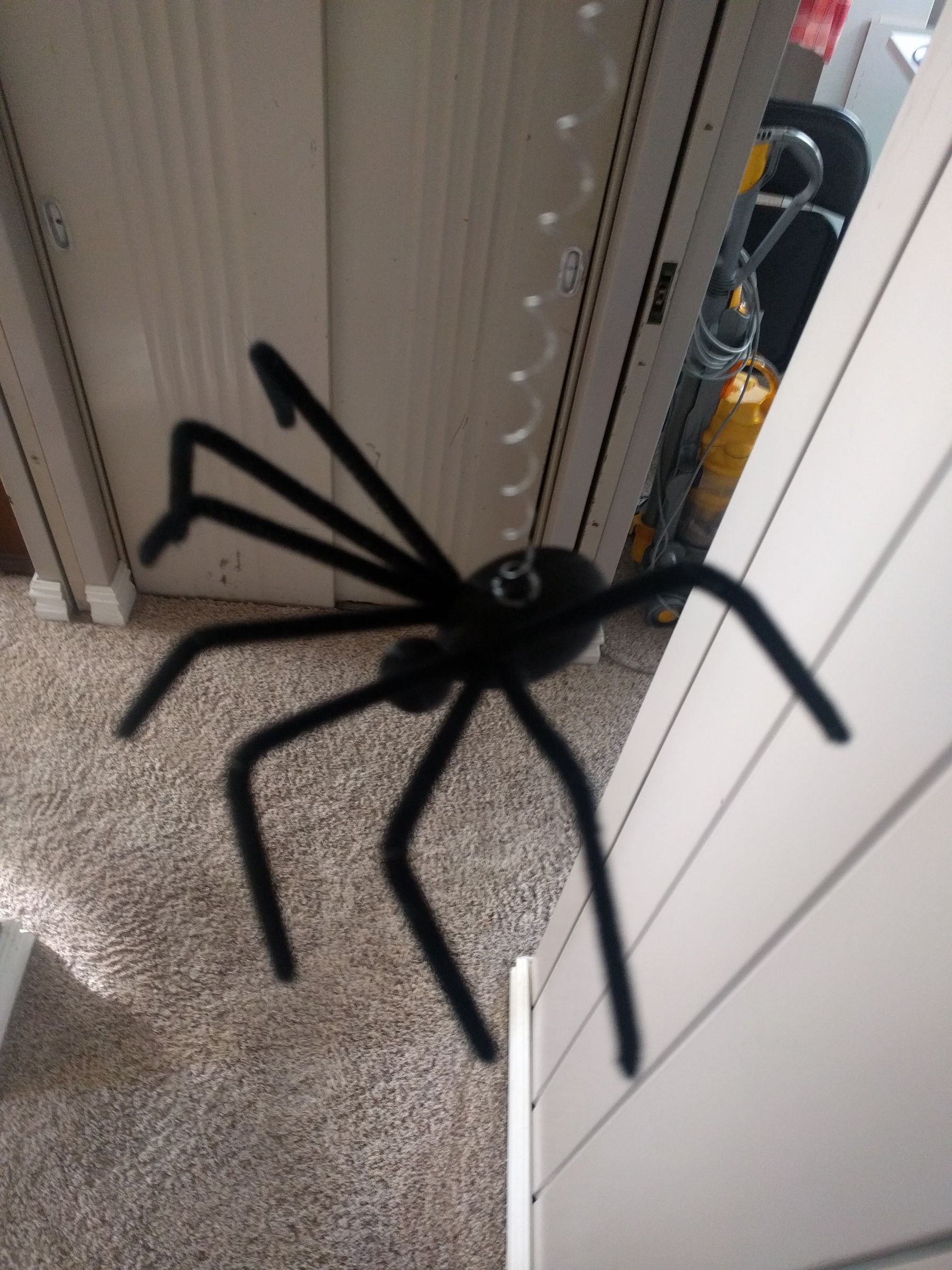 Jumping Halloween Spider : 7 Steps (with Pictures) - Instructables