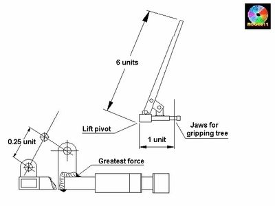 Pulling Up Small Trees, the Easy Way. : 8 Steps (with Pictures ...