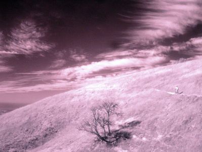 Infrared Digital Camera - the Real Way : 8 Steps (with Pictures ...