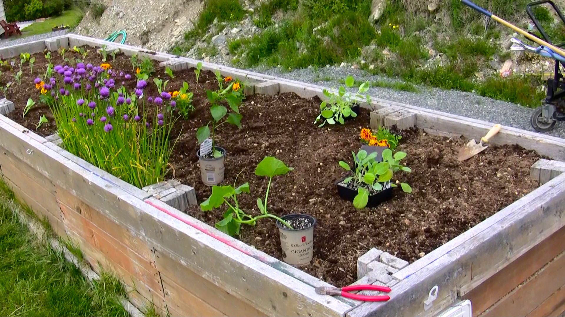 Electric Garden Slug Fence : 4 Steps (with Pictures) - Instructables