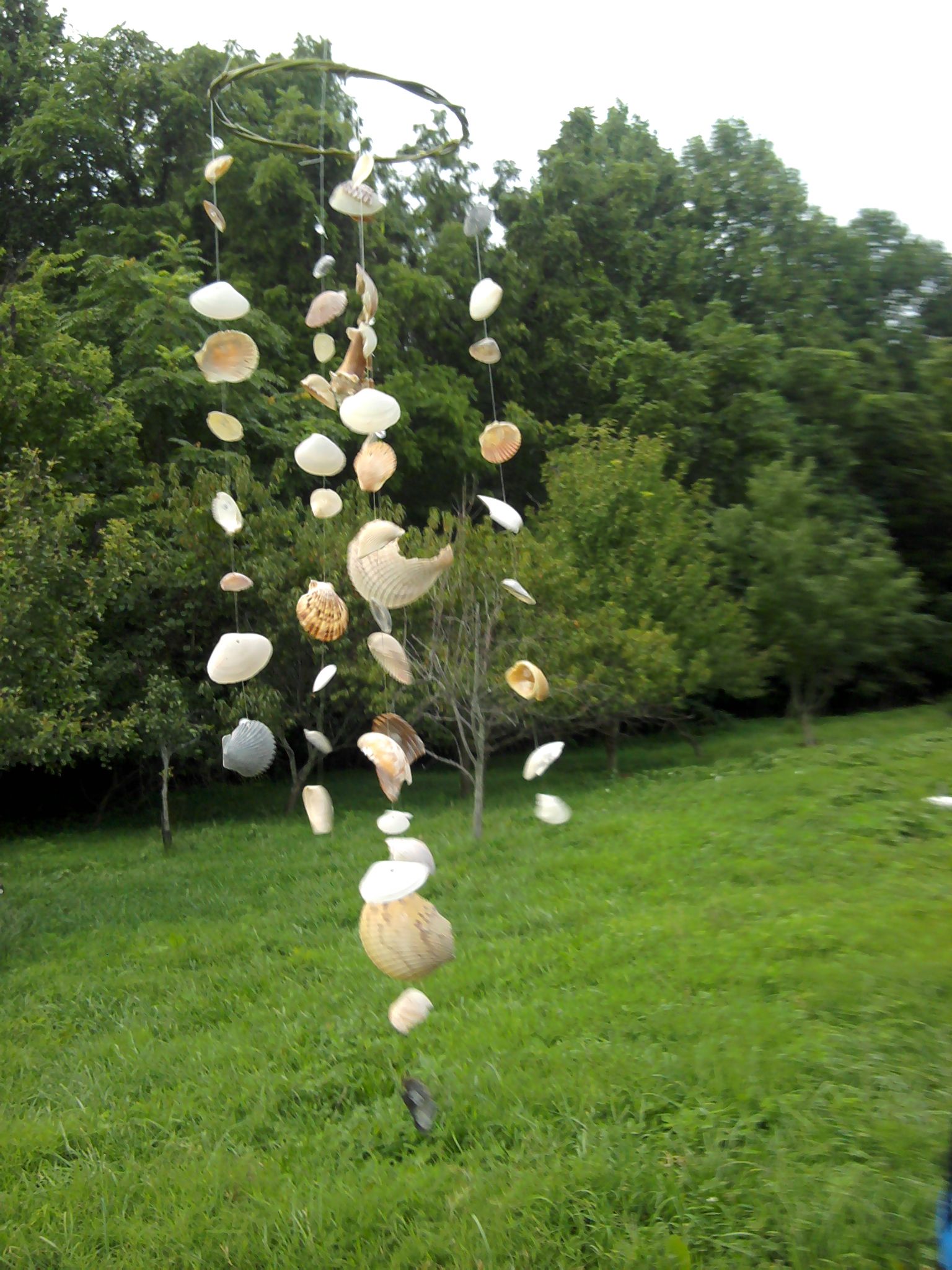 Seashell Windchime : 5 Steps - Instructables