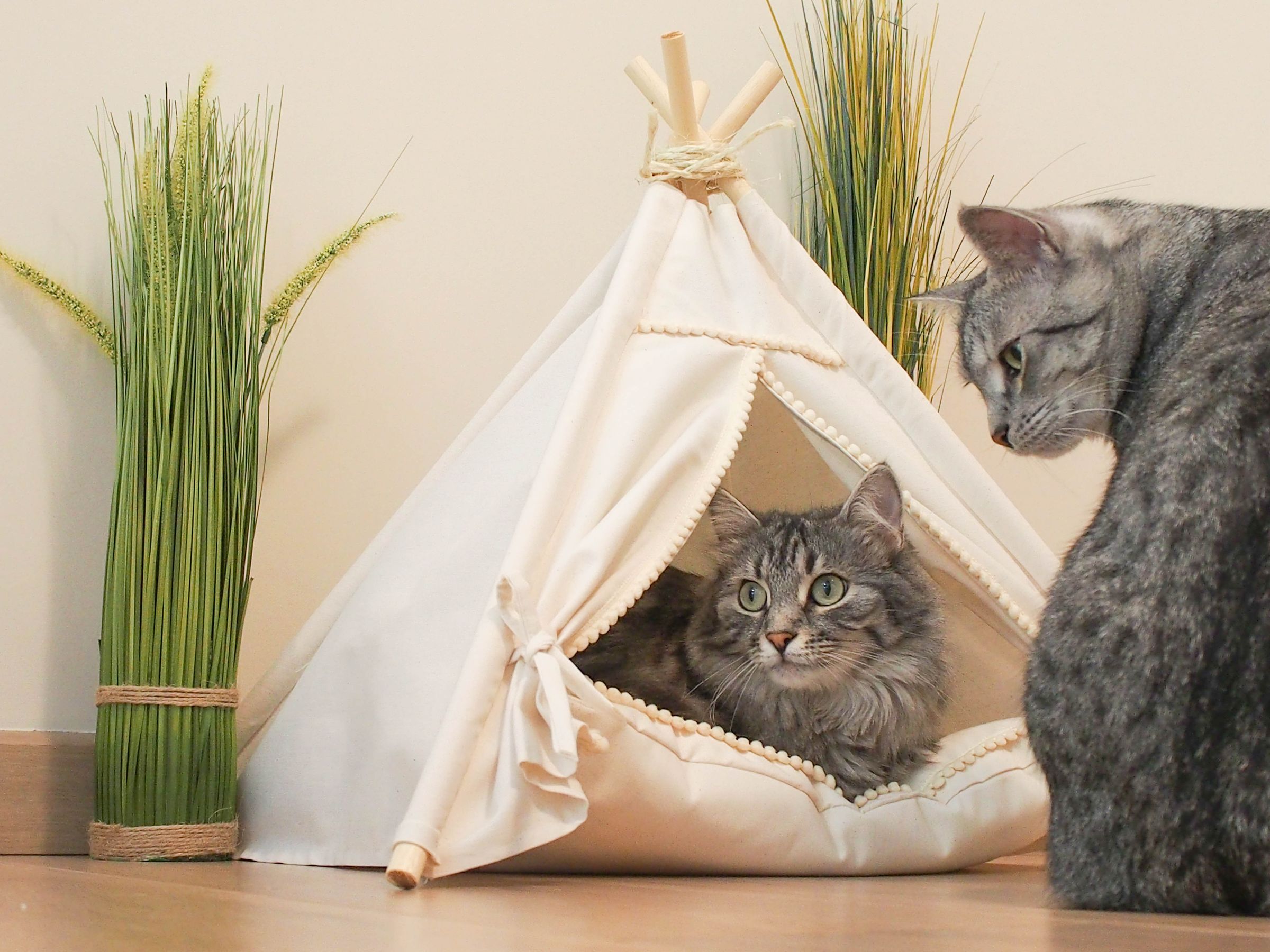 Pet Teepee/House : 6 Steps (with Pictures) - Instructables
