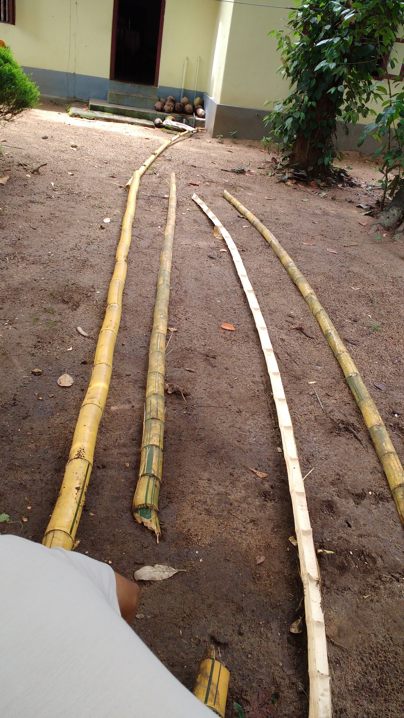 Bamboo Canoe : 6 Steps (with Pictures) - Instructables