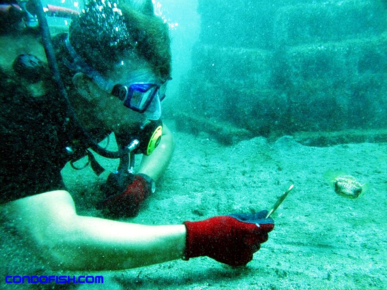 Build an Artificial Reef : 8 Steps (with Pictures) - Instructables