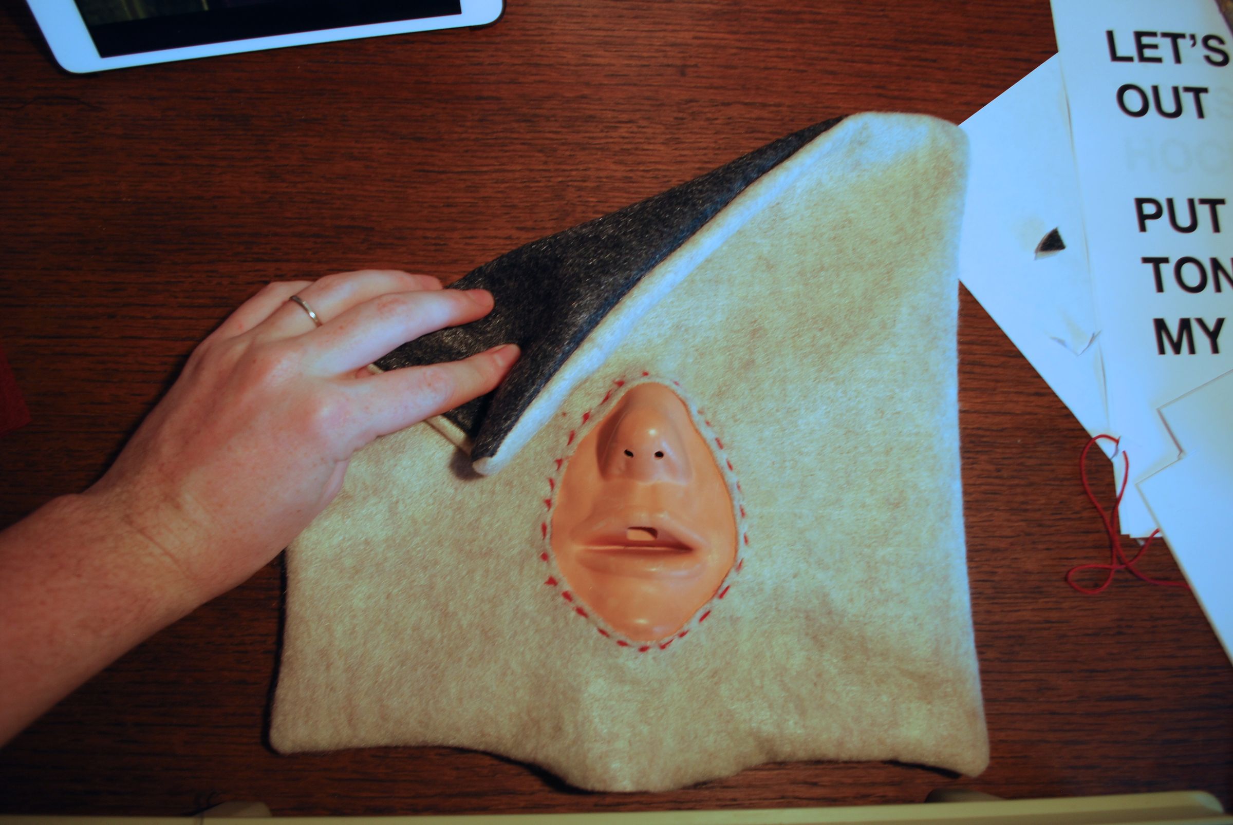 Make-Out Practice Pillow for Valentine's Day : 5 Steps (with Pictures ...