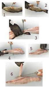Catching & Pickling Sucker Fish : 6 Steps - Instructables