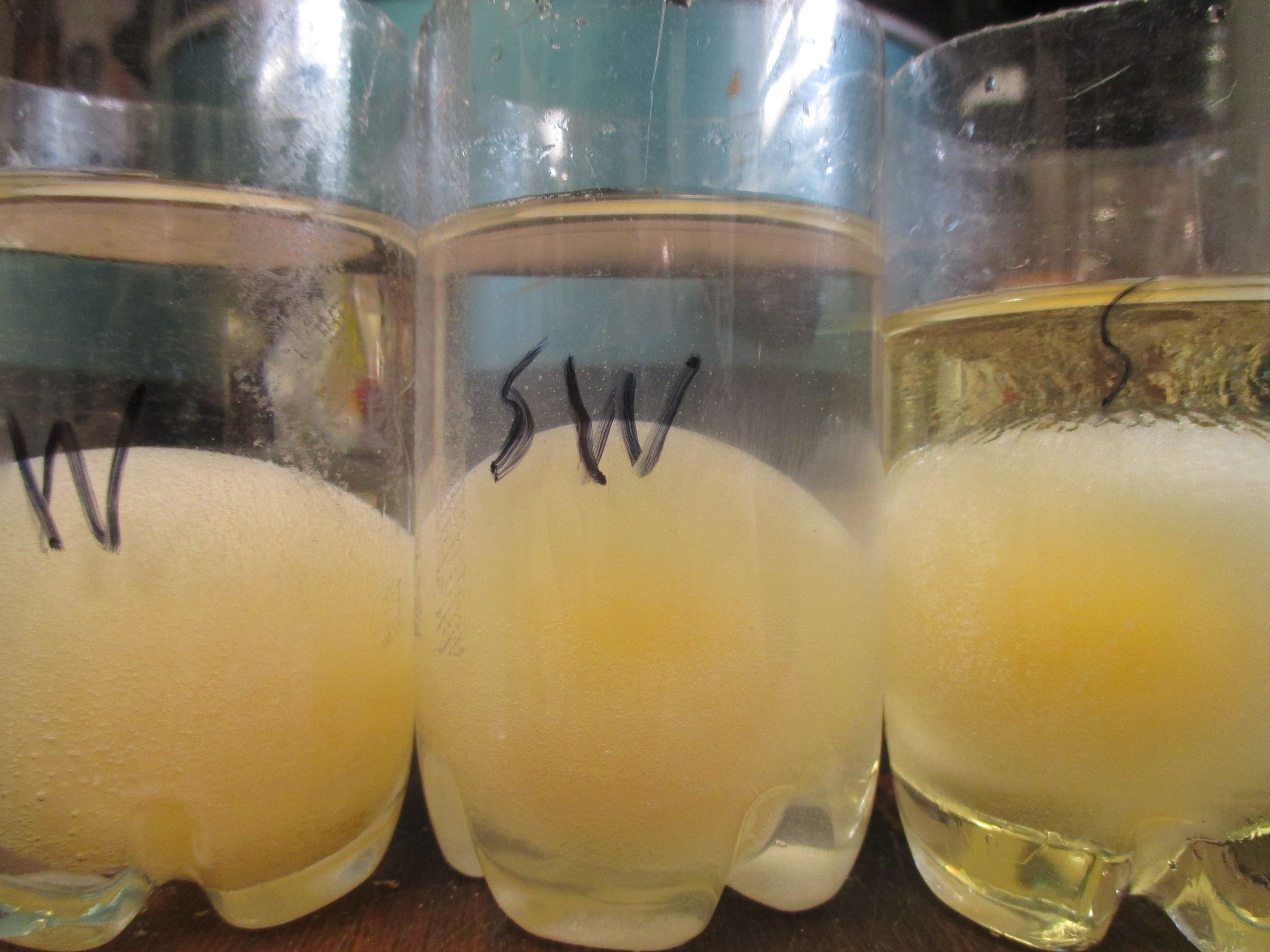 Easy Egg Chemistry : 8 Steps (with Pictures) - Instructables