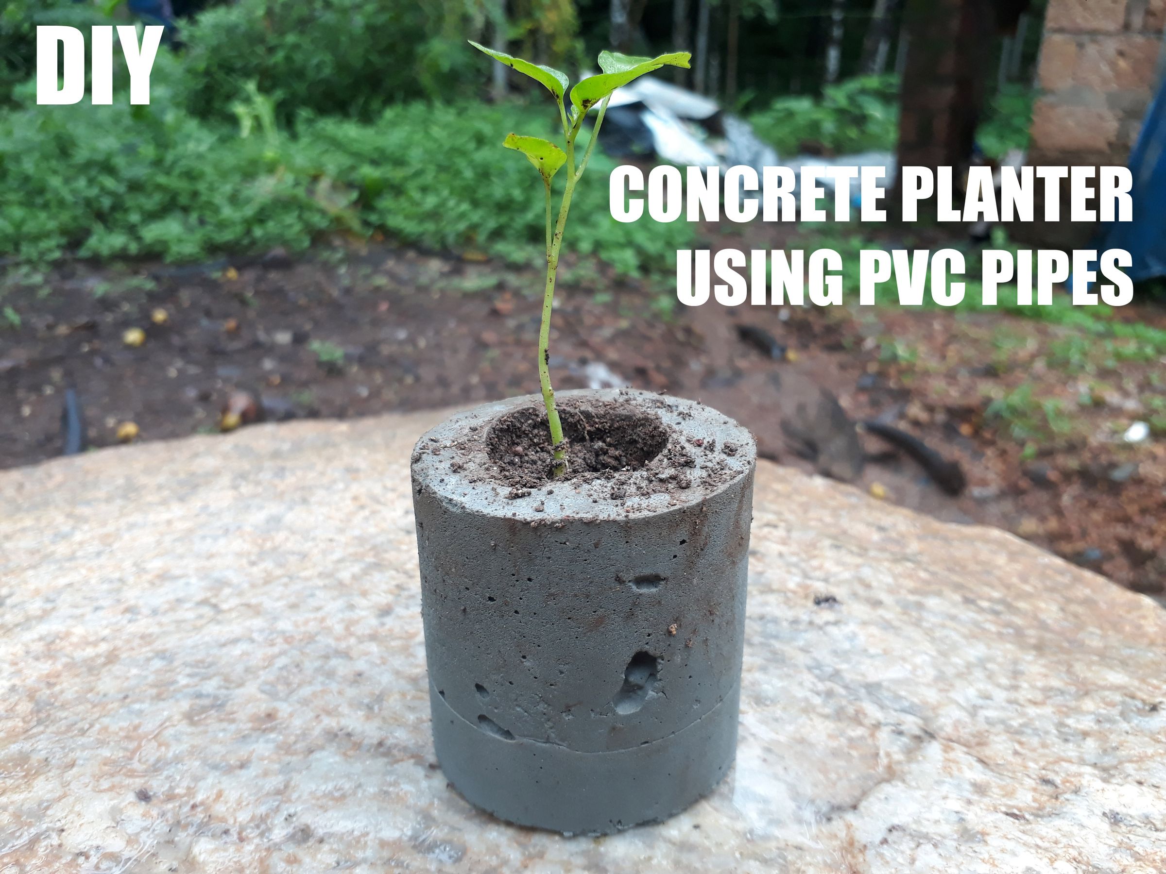 Concrete Planter Using PVC Pipes : 9 Steps (with Pictures) - Instructables