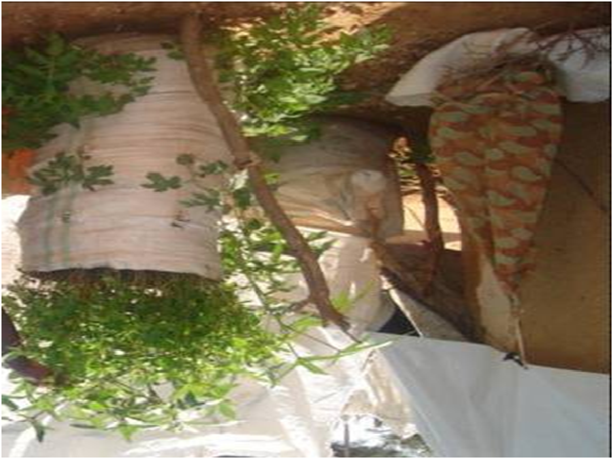 A Garden in a Sack : 5 Steps (with Pictures) - Instructables