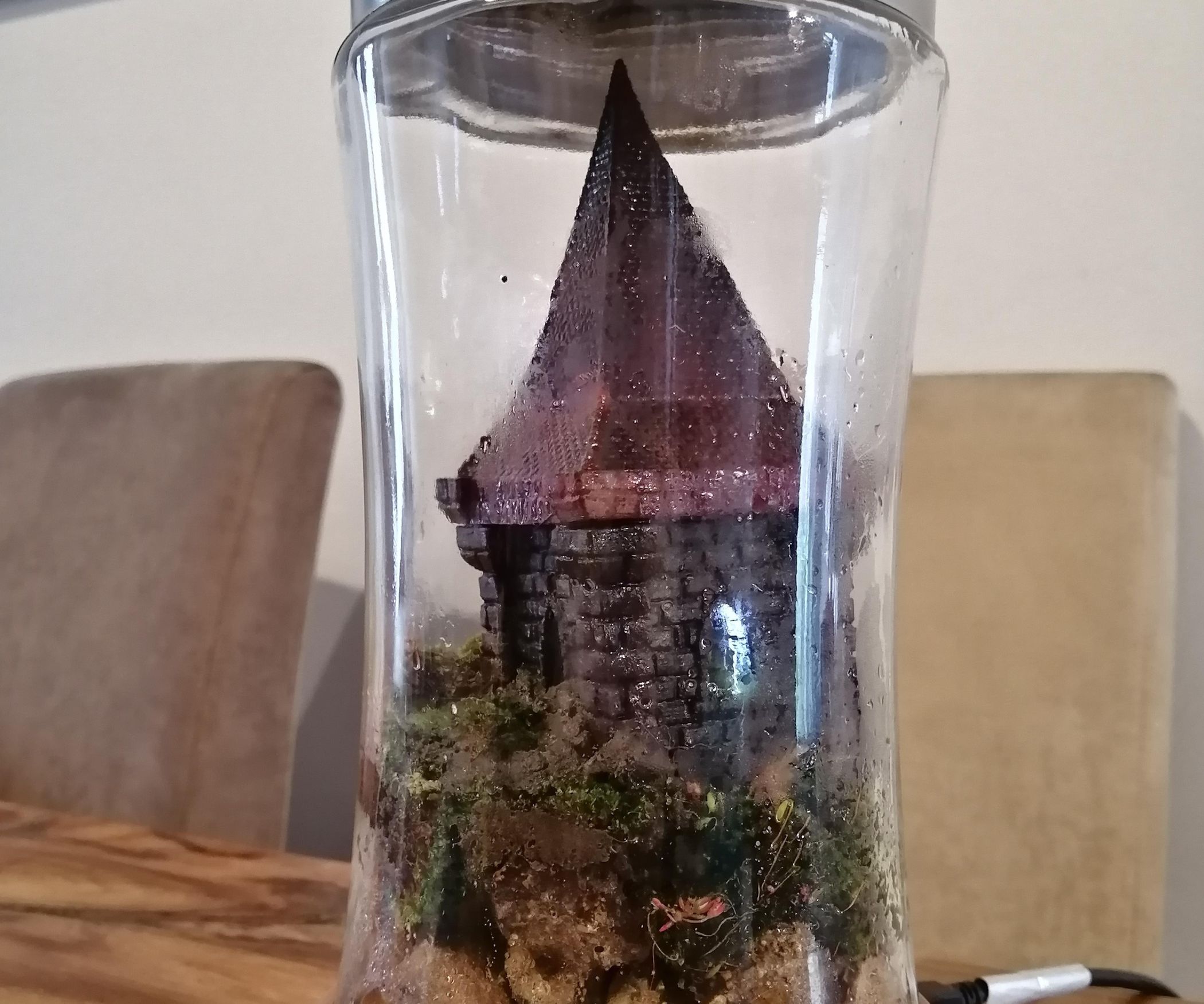 Terrarium With Wirelessly Powered Lights : 8 Steps (with Pictures ...