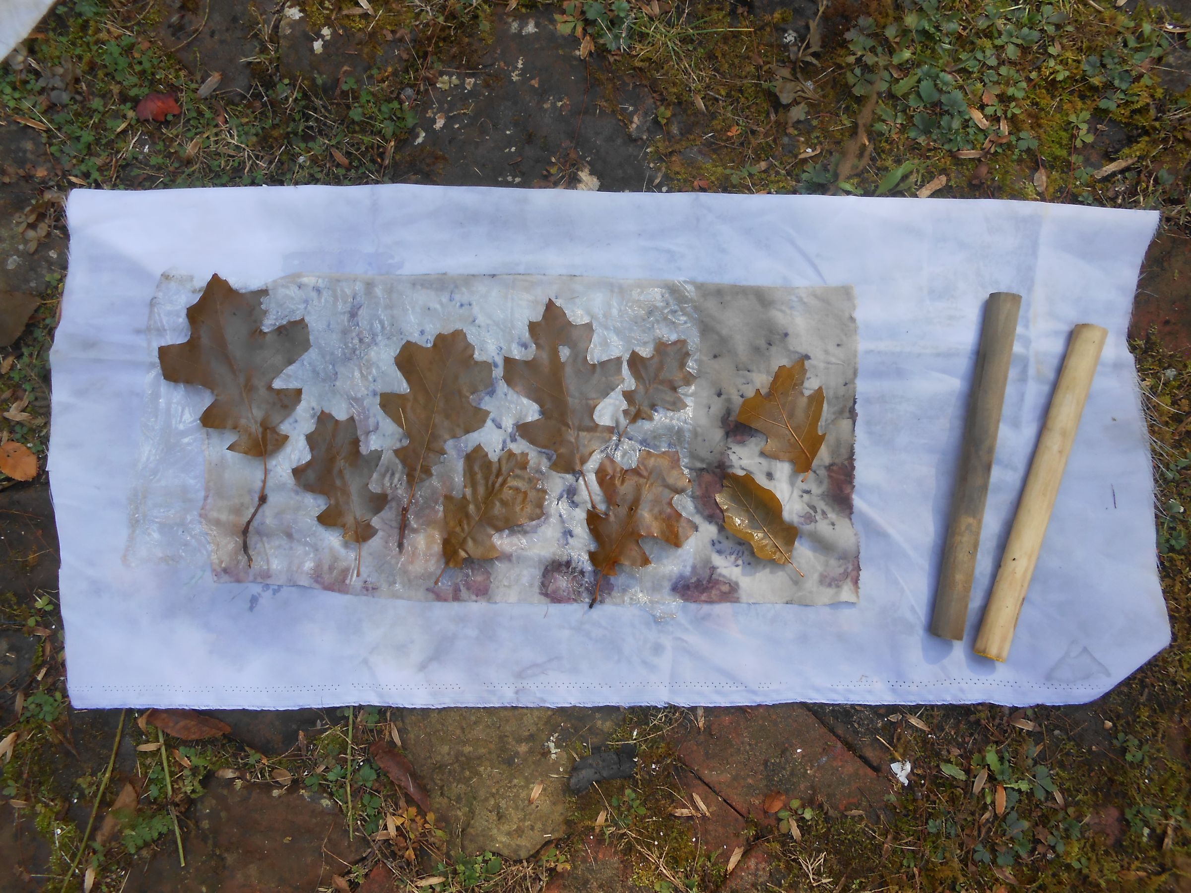 Eco-Printing With Rust & Vinegar : 6 Steps (with Pictures) - Instructables