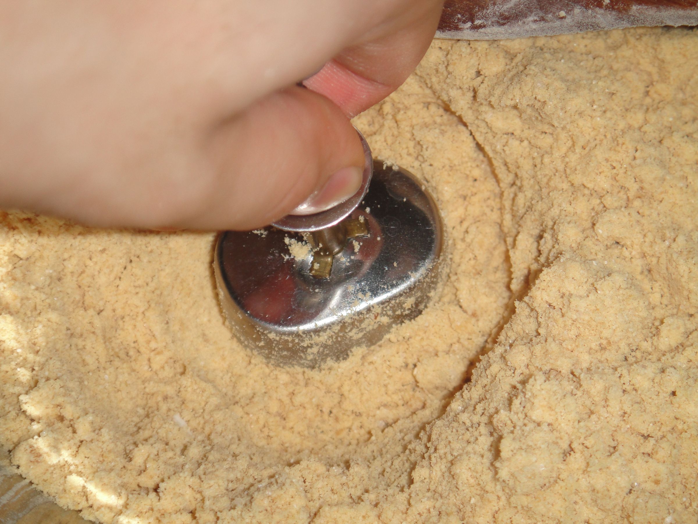 How to Make Polvoron(philippine Powderd Milk Candy) : 10 Steps (with ...