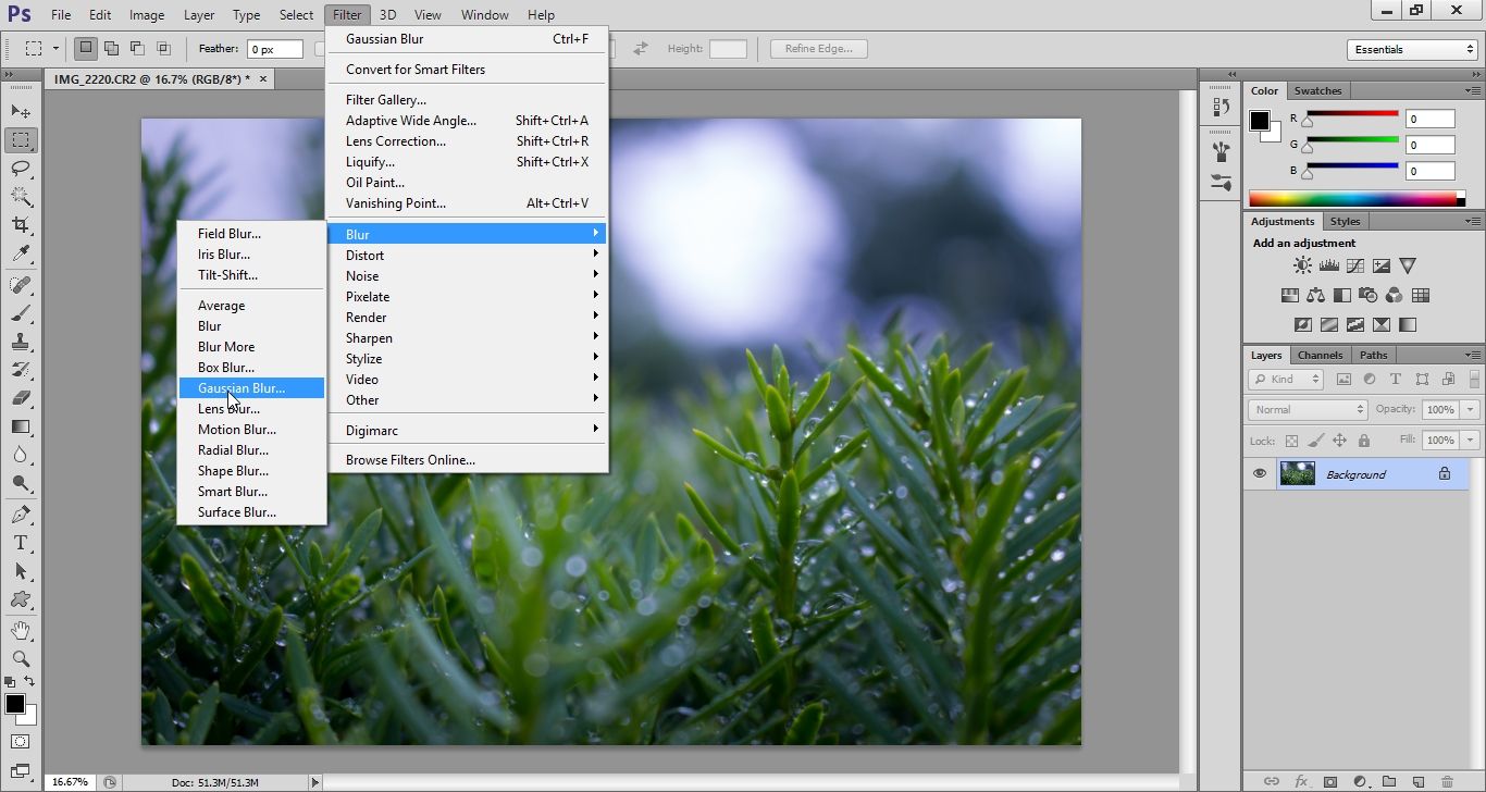 A Complete Beginner's Guide to Raw Files and Raw Processing : 11 Steps ...