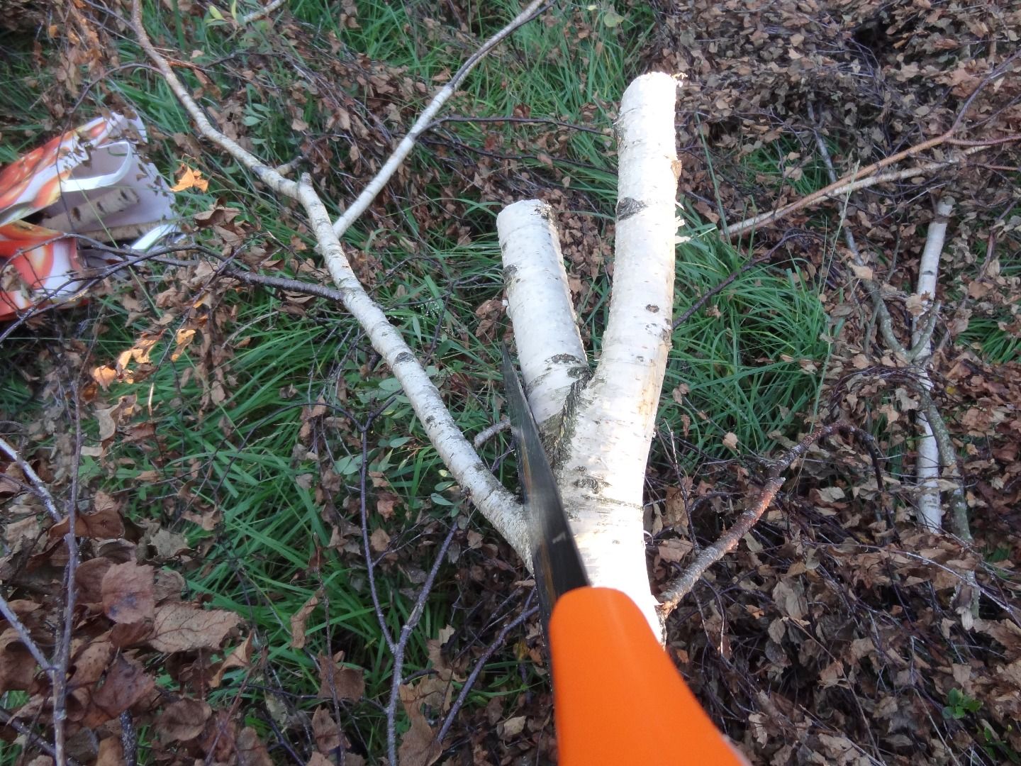 Make a Branch Shelf : 9 Steps (with Pictures) - Instructables
