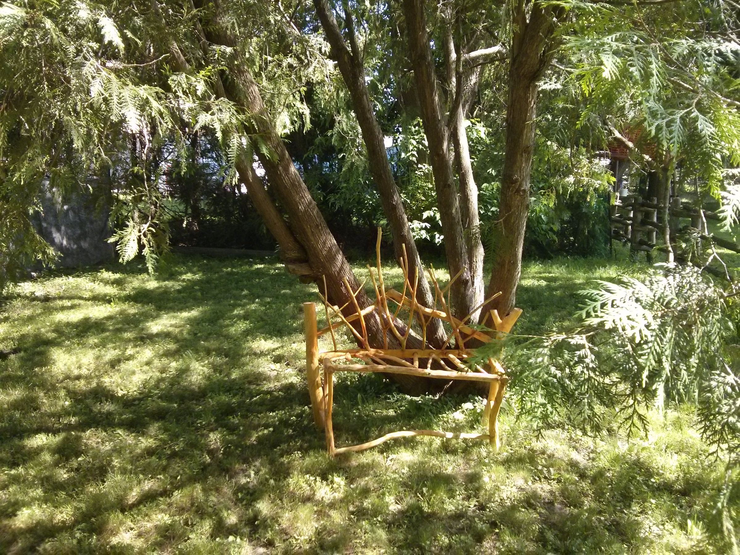 Decorative Garden Bench Made From Fallen Tree Limbs : 9 Steps ...