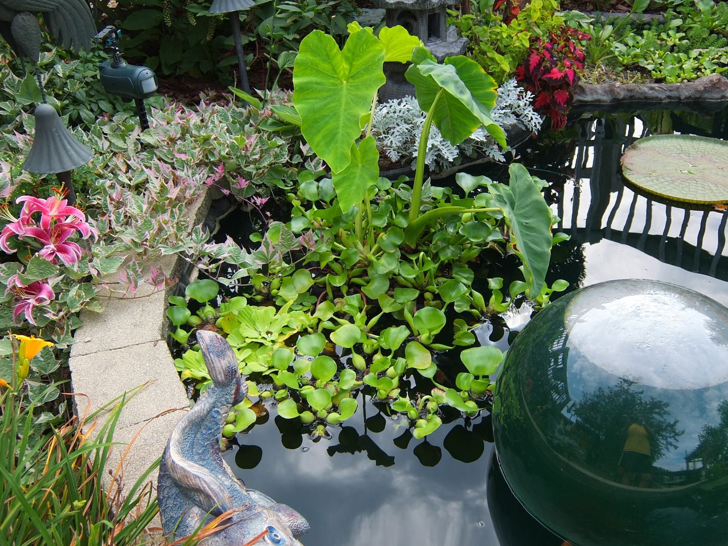 Pond Planter From a Milk Crate : 4 Steps (with Pictures) - Instructables
