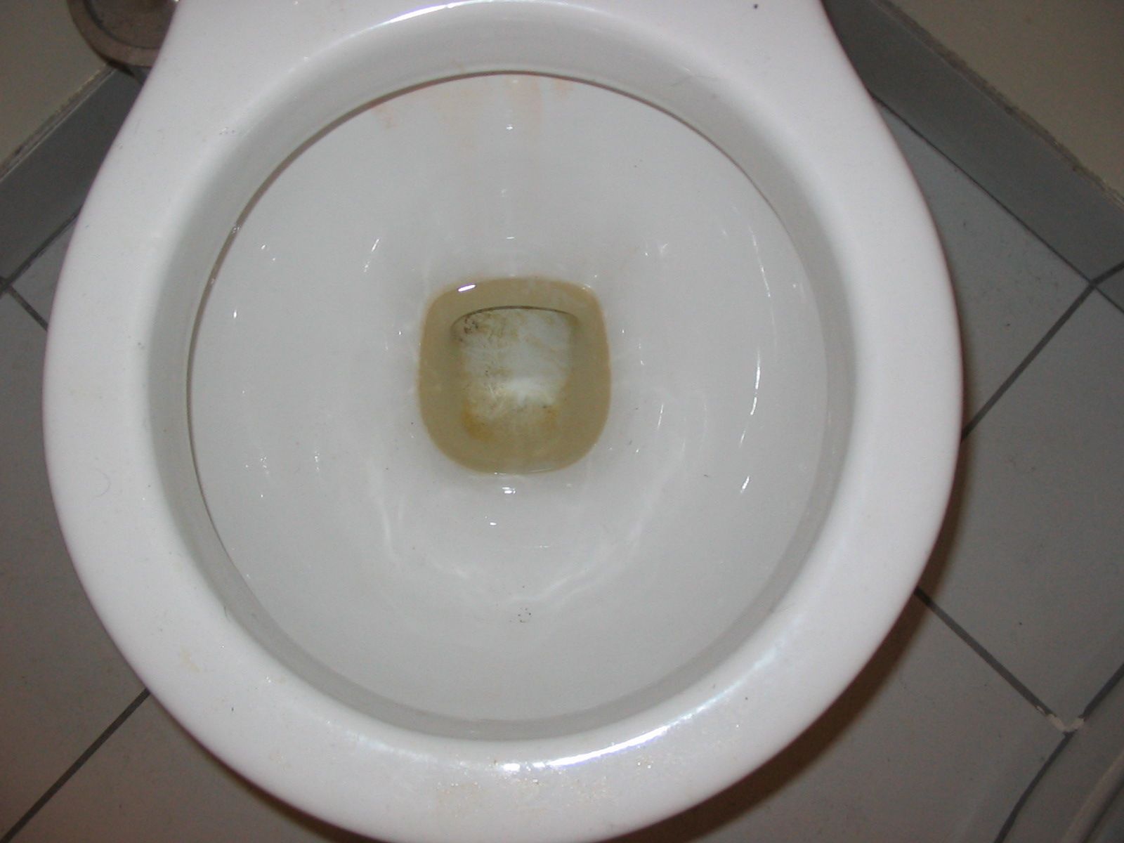 How to Clean a Toilet Without Chemicals : 5 Steps - Instructables