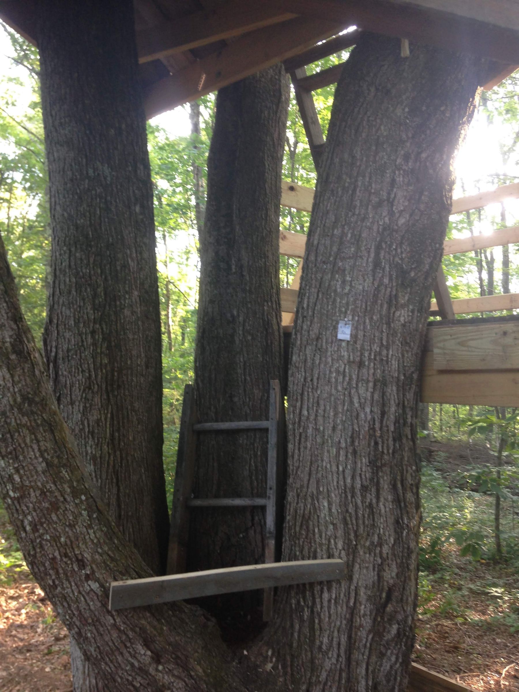 Multi Level Tree House From Recycled Materials : 10 Steps (with ...