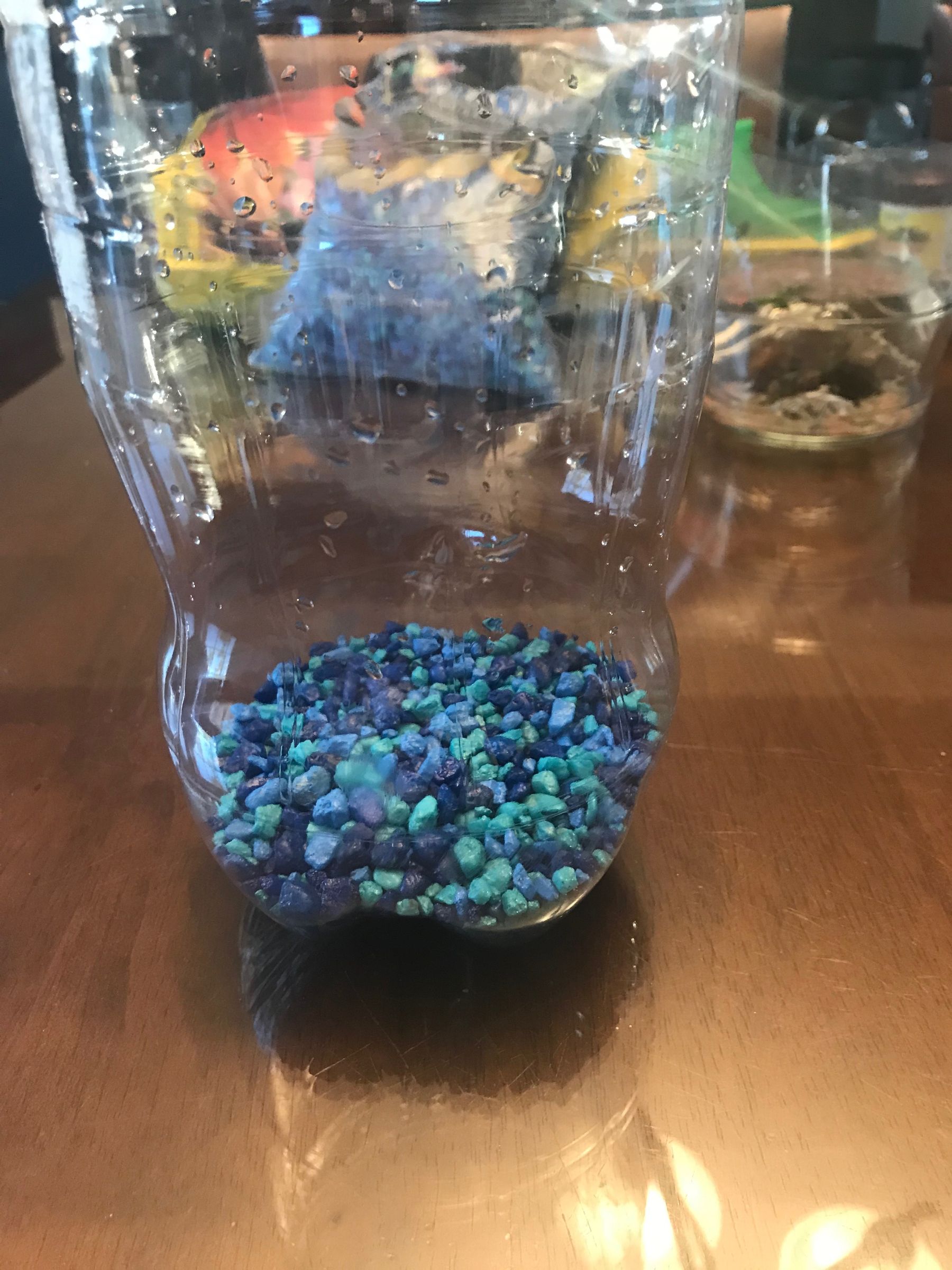 Ecosystem in a Bottle : 11 Steps (with Pictures) - Instructables