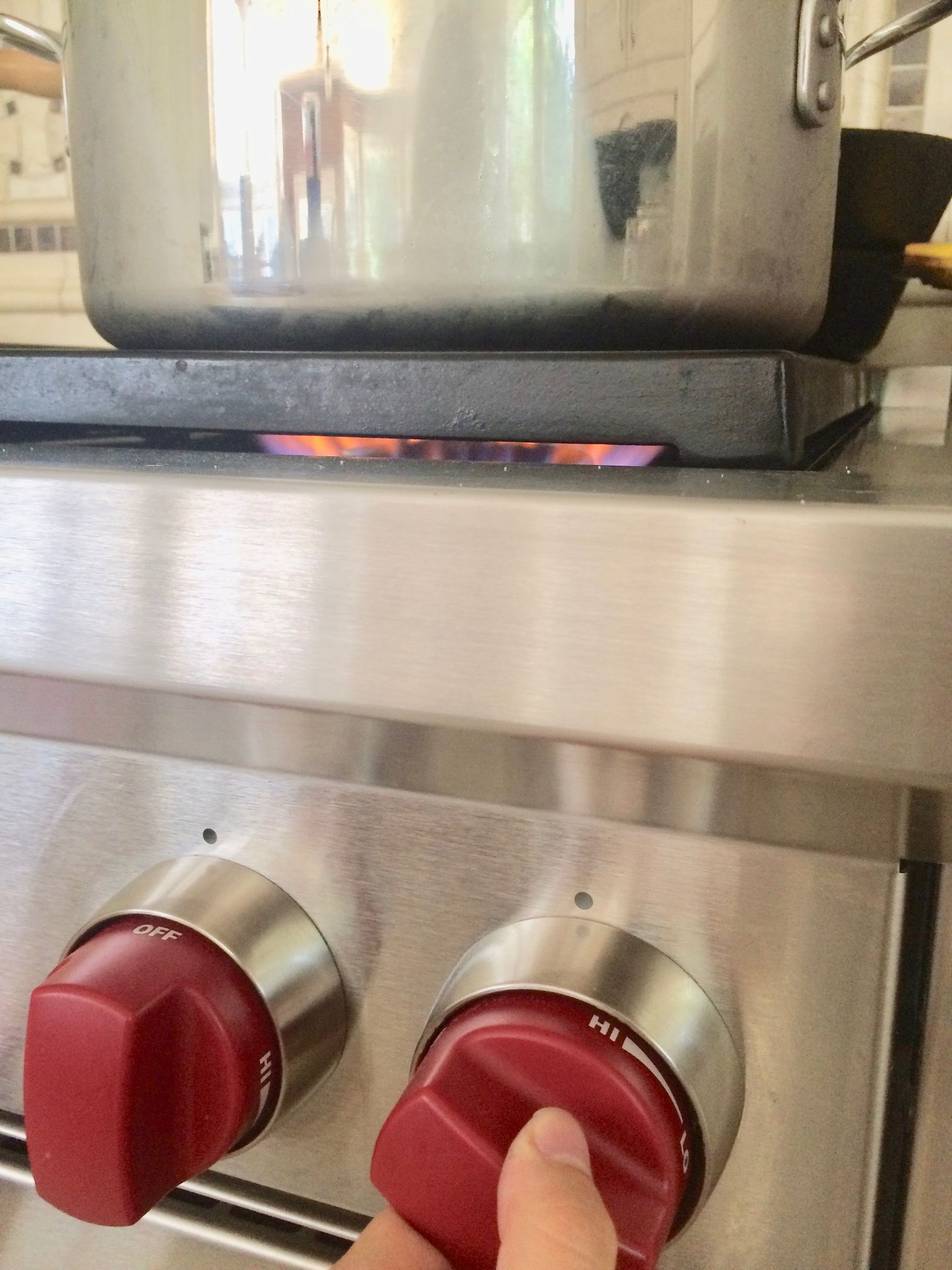 All-Natural Cabbage Dye : 8 Steps (with Pictures) - Instructables