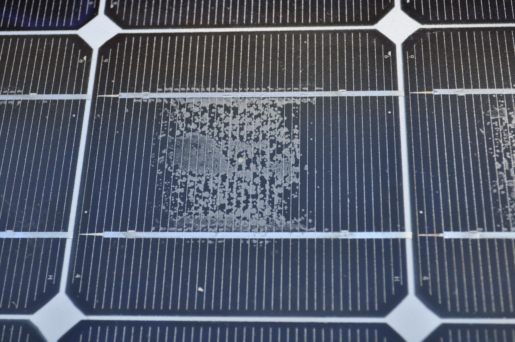 Solar Powered LED Yard Lighting Made Cheap & Easy : 9 Steps (with ...