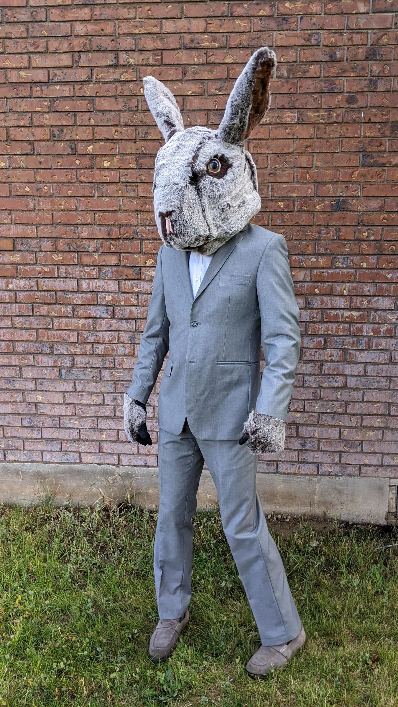 Realistic Bunny Head Costume : 7 Steps (with Pictures) - Instructables